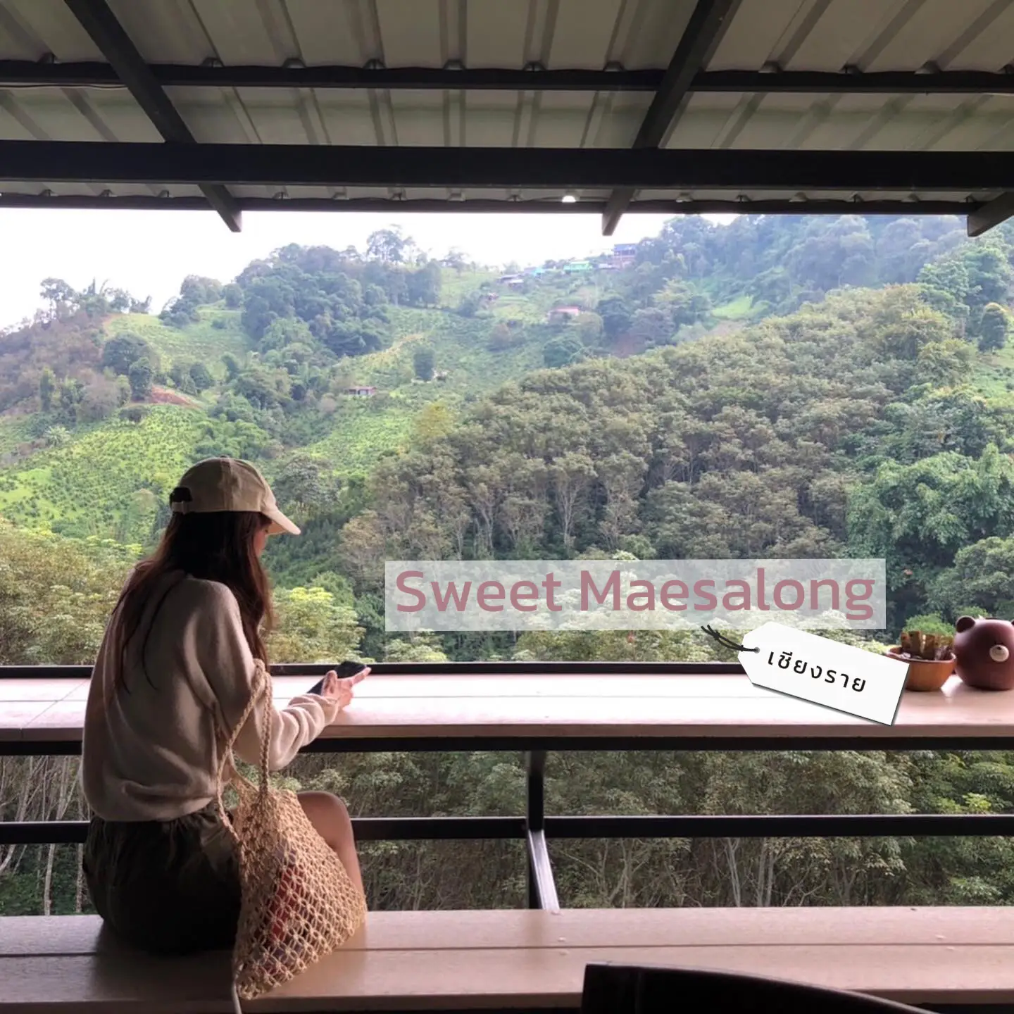 สวีท แม่สลอง ครัวชองต์ 🥐ที่เค้าว่าดัง… #ครัวซองต์🥐 | แกลเลอรีที่โพสต์โดย PpSAmE | Lemon8