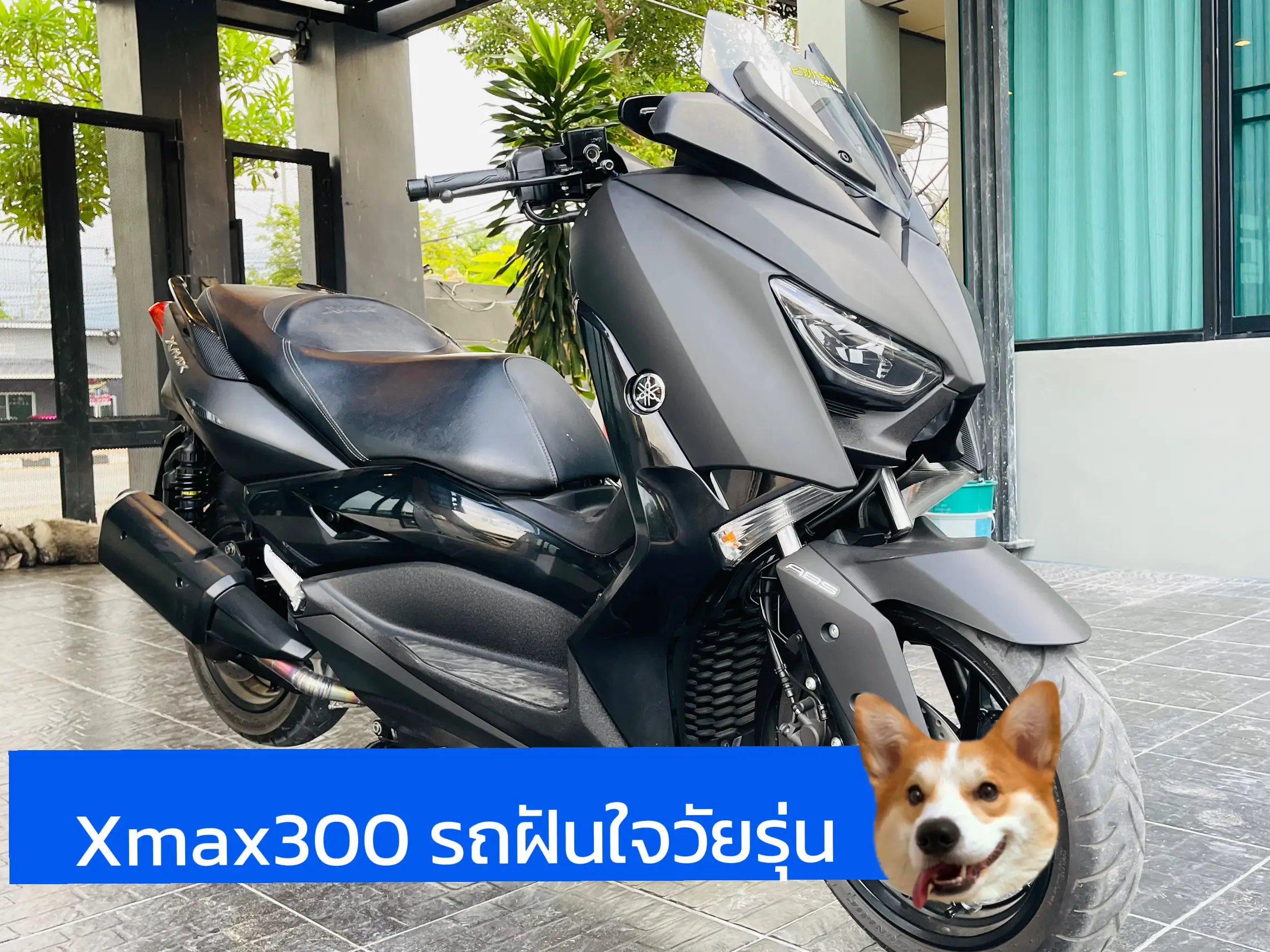 Xmax300 รถฝันใจวัยรุ่น | แกลเลอรีที่โพสต์โดย CEO €Ổ ρ Ŧ ξ г | Lemon8
