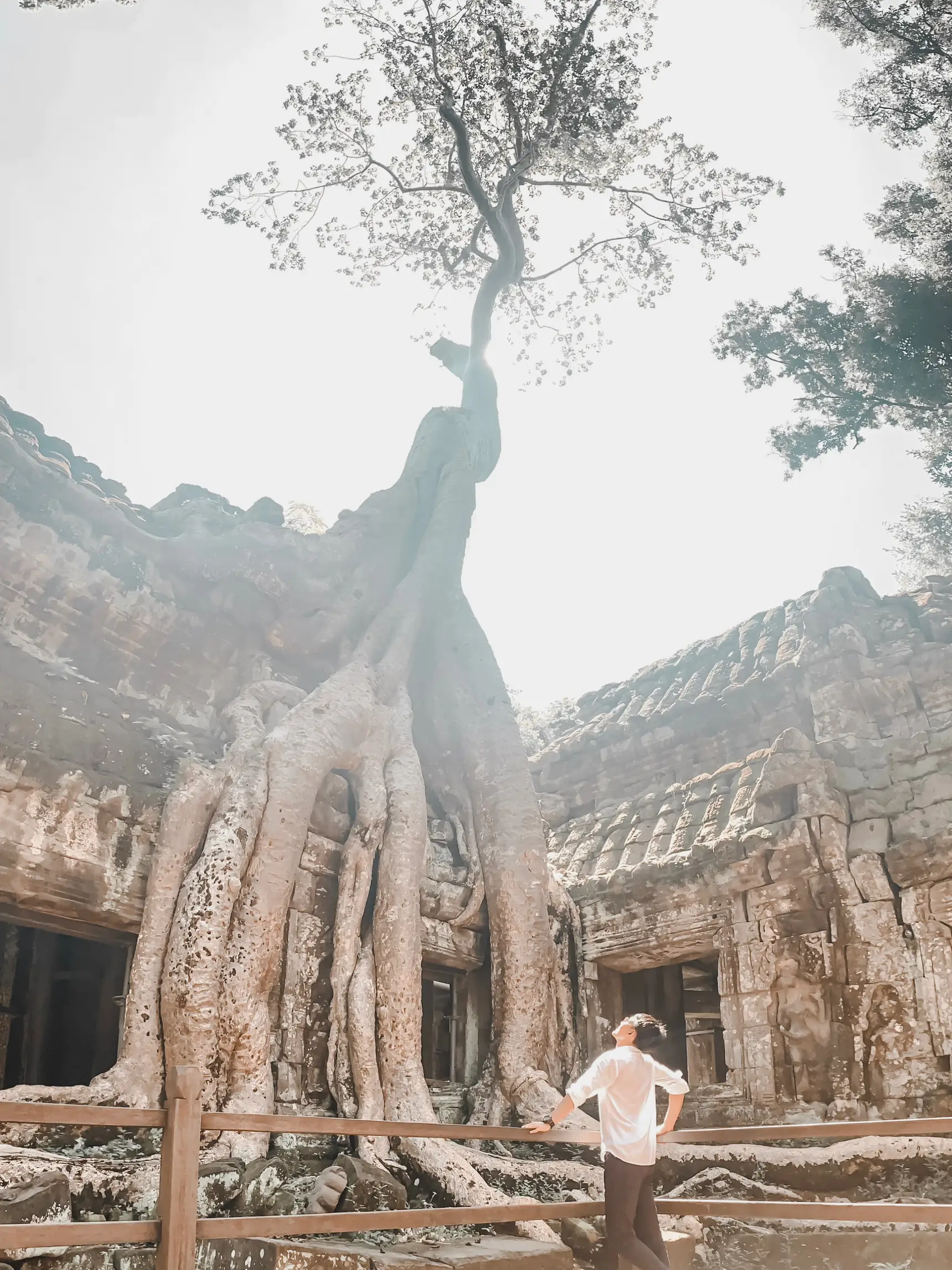 รีวิวเที่ยว Angkor Wat เมืองเสียมเรียบ ประเทศกัมพูชา 🇰🇭 | แกลเลอรีที่โพสต์โดย Athen | Lemon8
