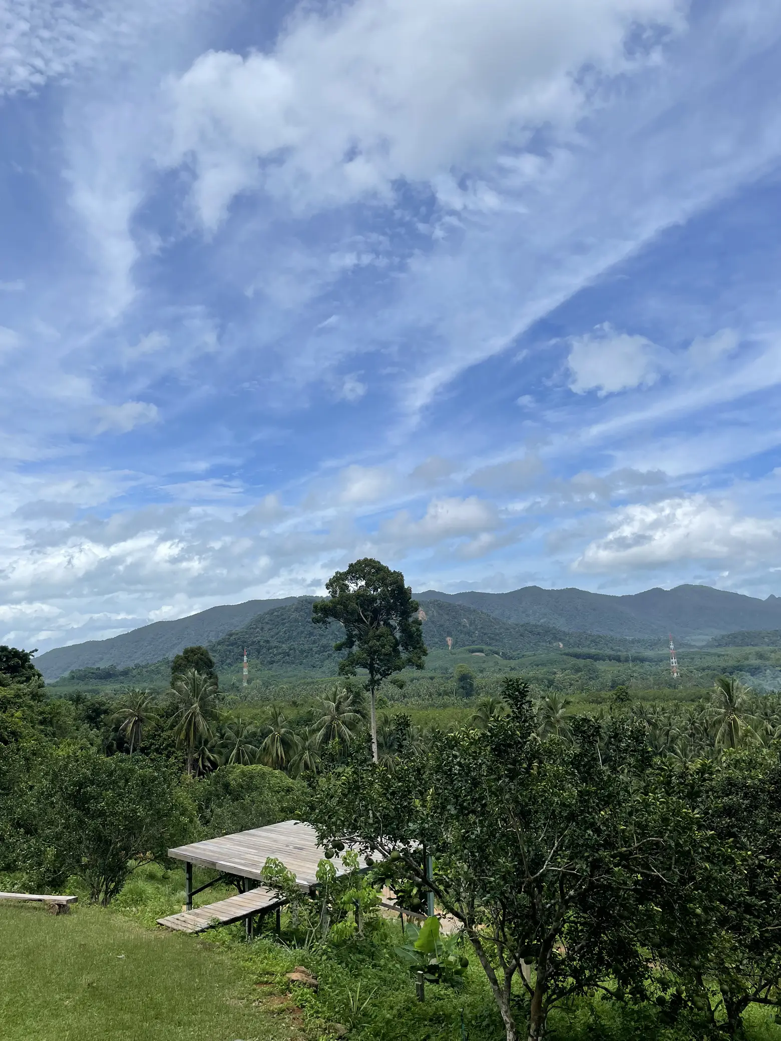 Altitude79 คาเฟ่เกาะช้างเลี้ยวซ้าย ⬅️ | แกลเลอรีที่โพสต์โดย lllkkk | Lemon8