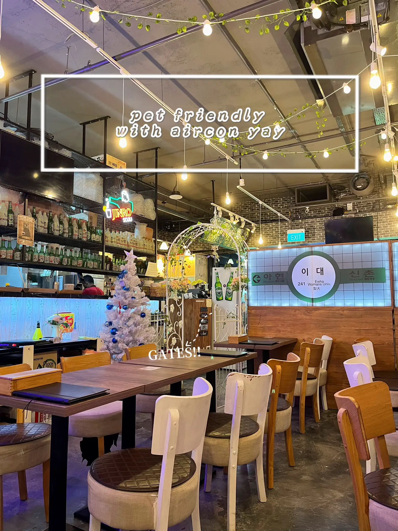eat with us: indoor pet friendly kfood 🥘 | Gallery posted by qq & lia 🧸 ...
