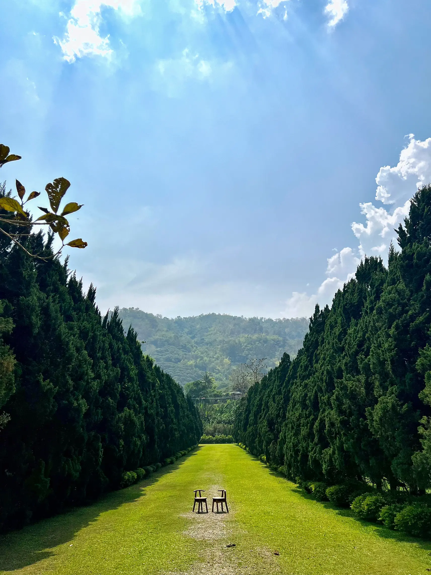 Cypress Lanes 🌲 📍Chiang Mai | Gallery posted by Beautyy. | Lemon8