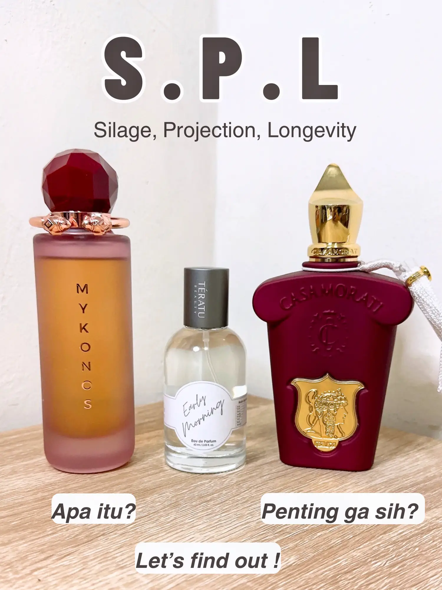 SPL apa sih itu? | Galeri diposting oleh stefaniscents | Lemon8