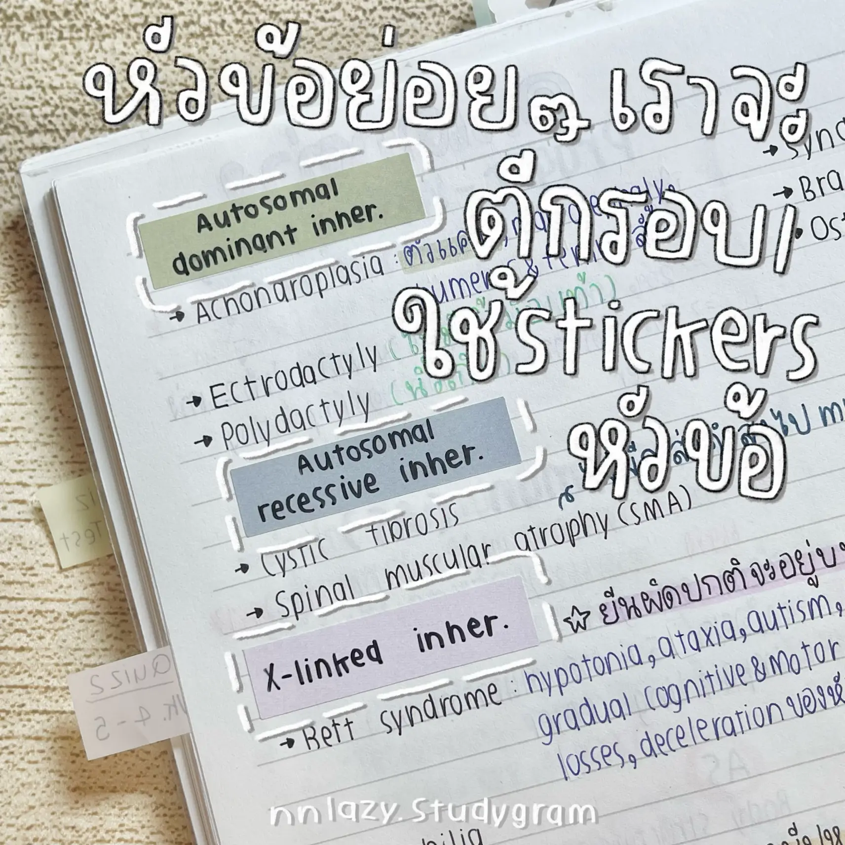 🎄🫧 How to 🫧🎄 จดสรุปฉบับ nnlazy | แกลเลอรีที่โพสต์โดย nnlazystudygram | Lemon8