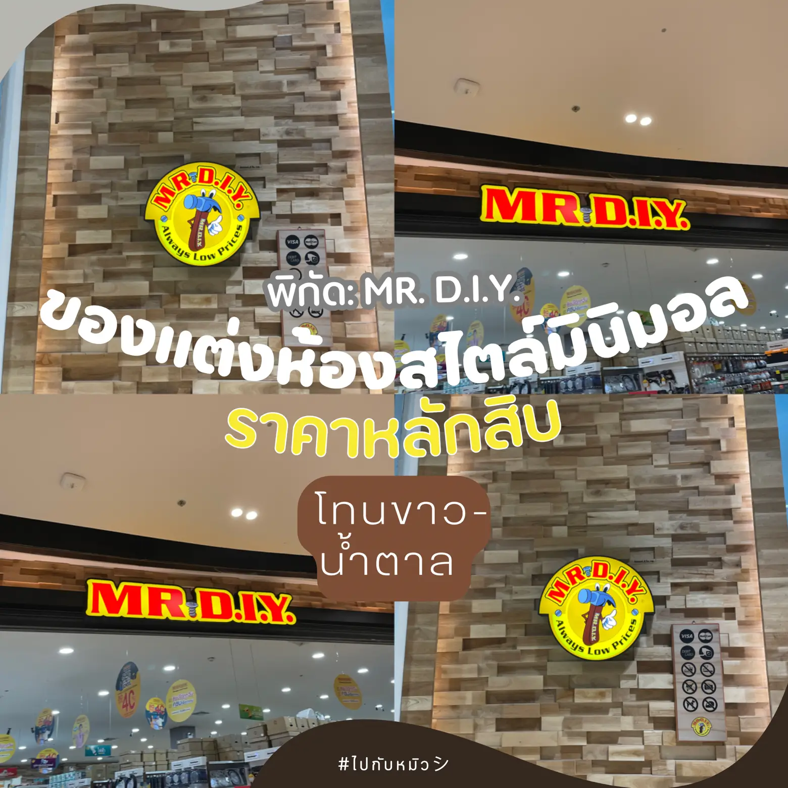 ดอกไม้ตกแต่งบ้าน น่ารักๆ ที่ MR.DIY 👷🏻👷🏻 | แกลเลอรีที่โพสต์โดย อิงซี่รีวิว ♡ | Lemon8