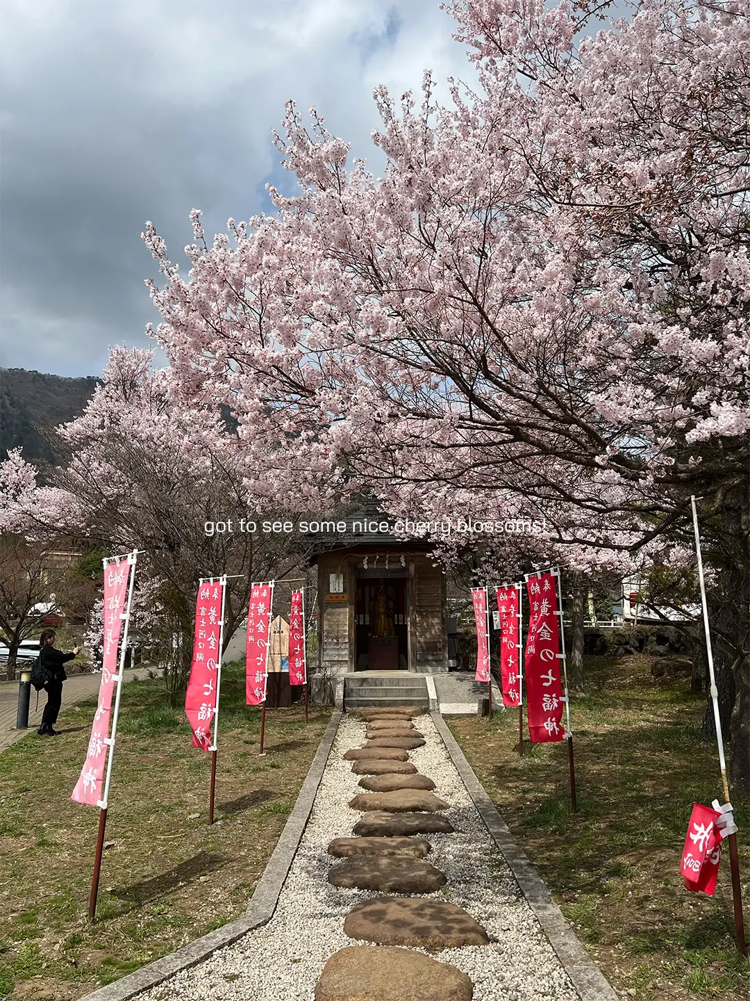 our honest opinions on the mt fuji klook tour ☁️ | Gallery posted by jenny | Lemon8