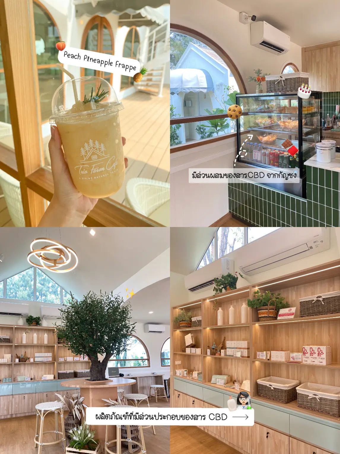 📍Café Kanchanaburi เปิดใหม่!! “Trio Farm Cafe” 🏞️🌤️👩‍🌾 | แกลเลอรีที่ ...
