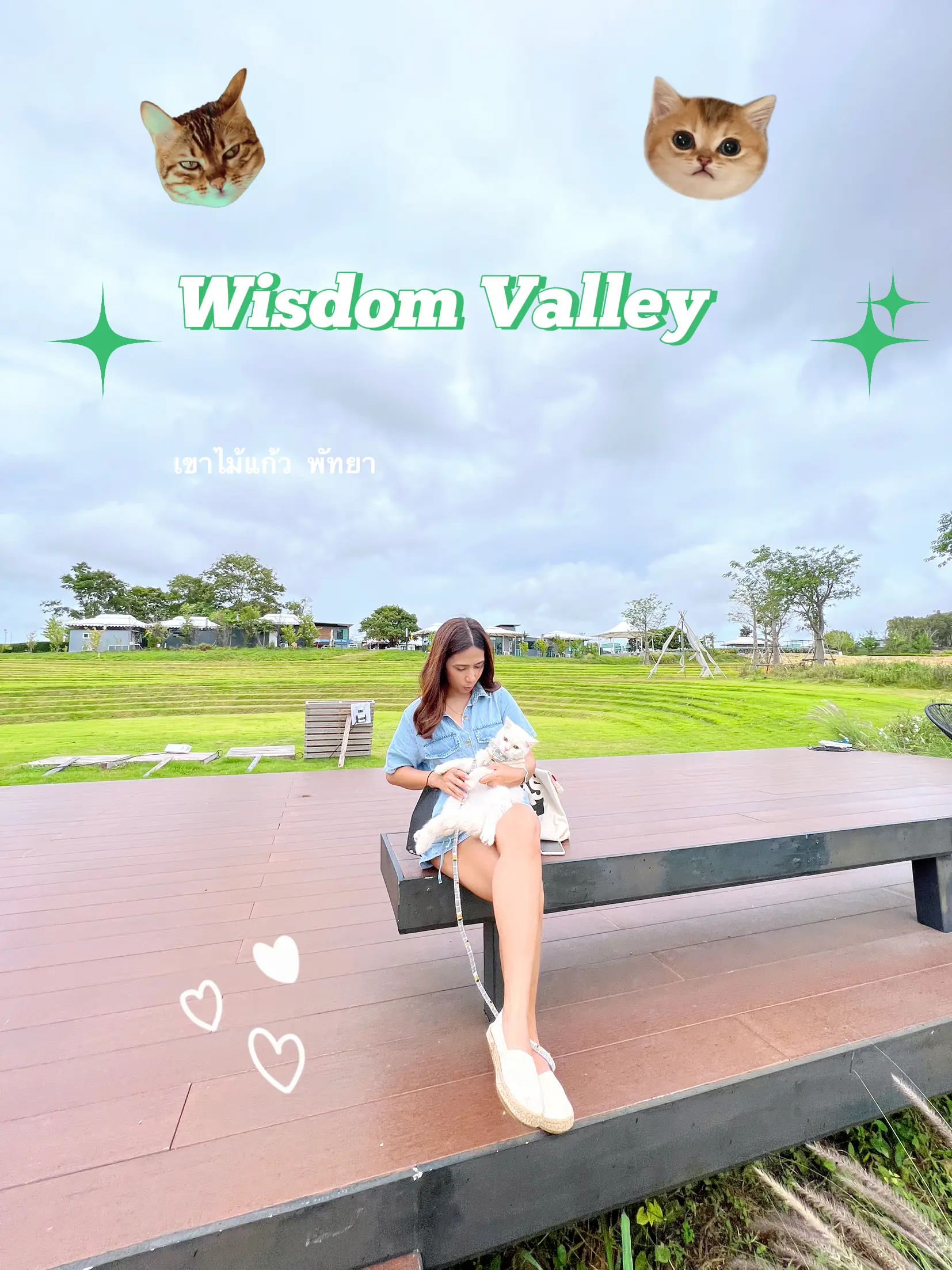 พาน้องแมว เดินเล่น Wisdom Valley | แกลเลอรีที่โพสต์โดย Palmy Srisaard ...