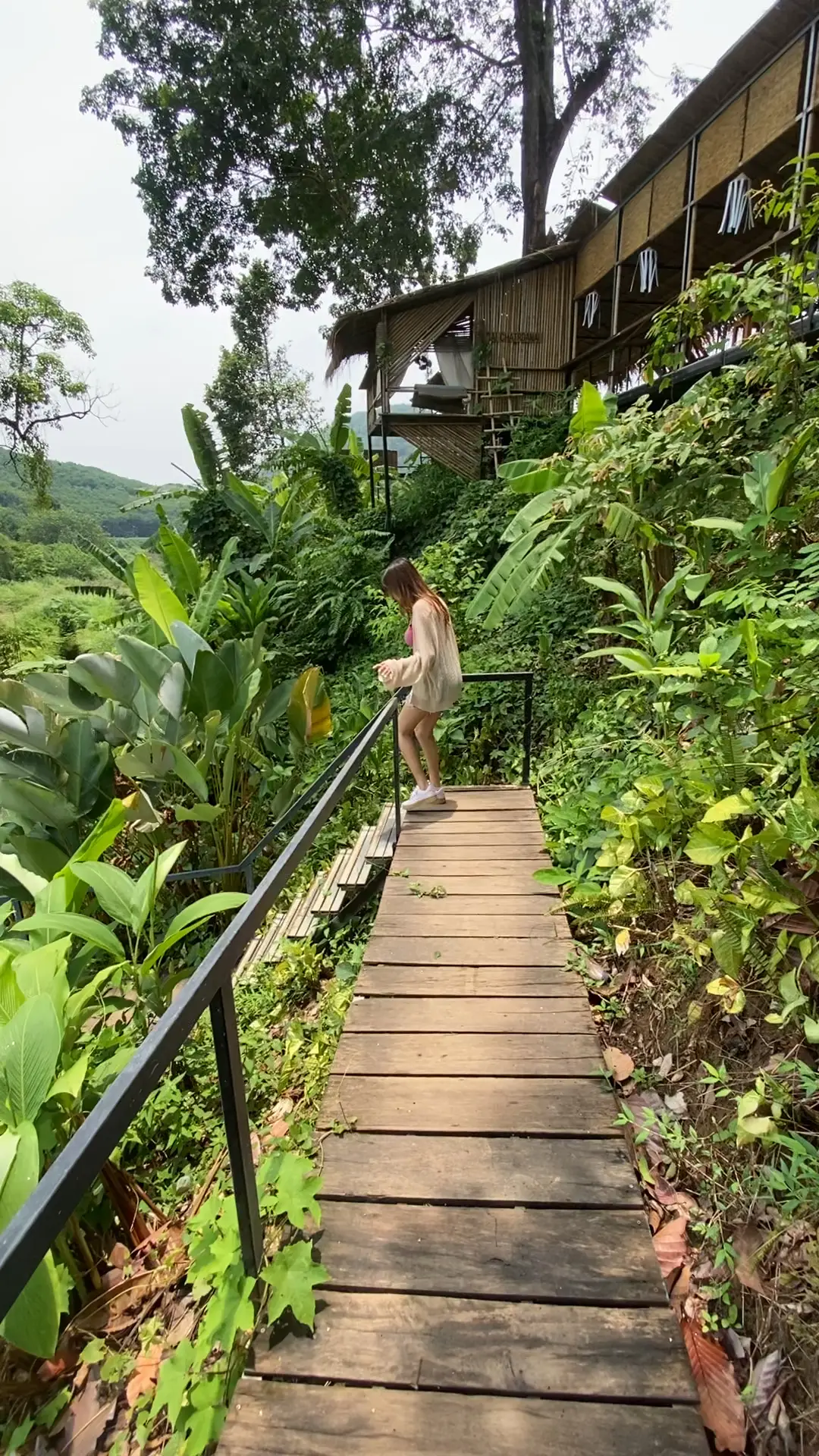 ไร่ฉัตรดนัย | วิดีโอที่เผยแพร่โดย Benjamas Sasang | Lemon8