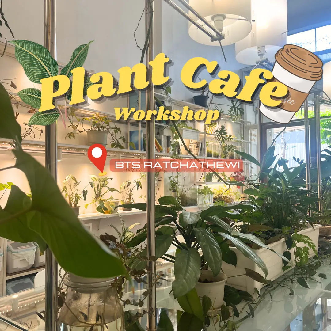 Plant Workshop Cafe คาเฟ่ล้อมไปด้วยต้นไม้ ใกล้BTSราชเทวี | แกลเลอรีที่ ...