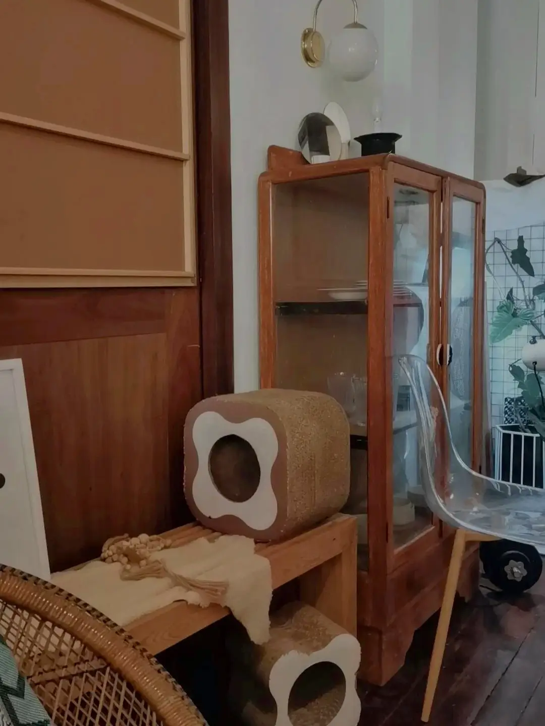 🇲🇾KL Hidden Cat Lover Cafe • Monster A Garden Cafe | Galeri disiarkan ...
