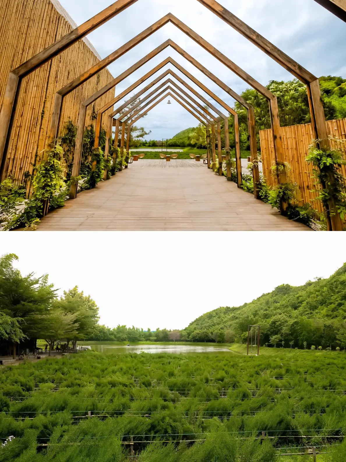 คาเฟ่สวยๆกาญจนบุรี มุมถ่ายรูปปังๆ 📷🥰 | แกลเลอรีที่โพสต์โดย Dance’s Day off | Lemon8