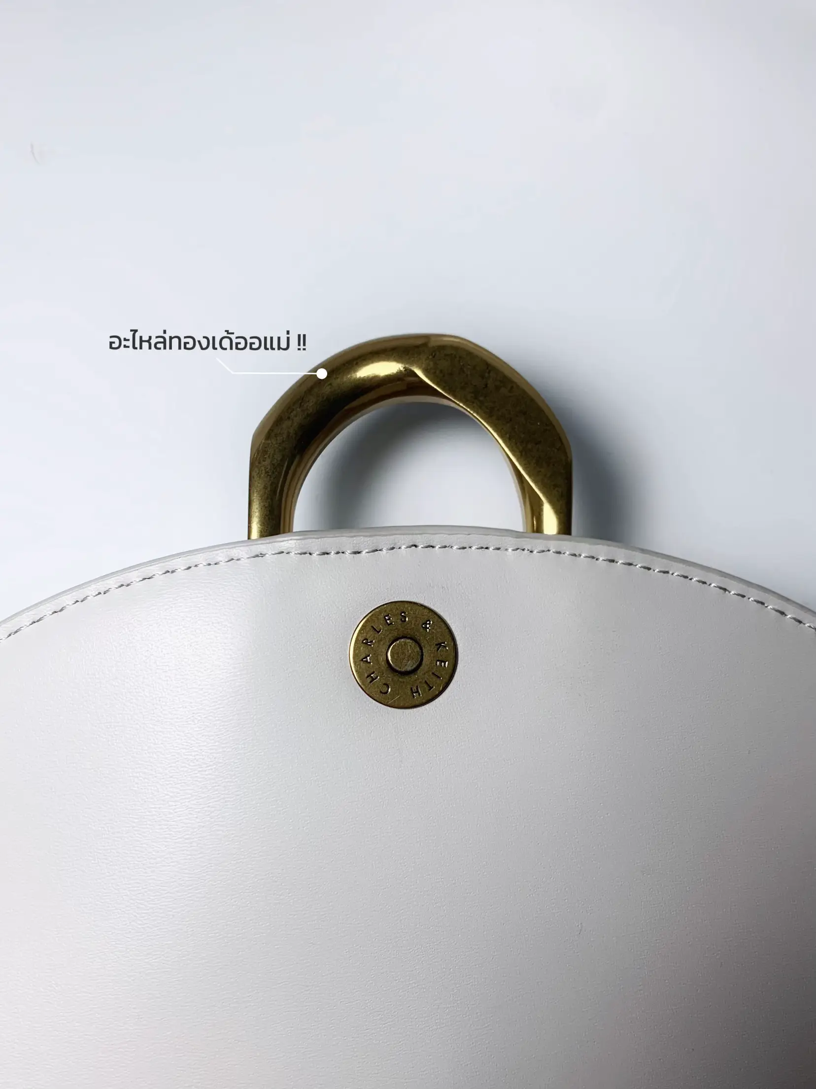 Charles & Keith: Gabine Sadlle Bag | แกลเลอรีที่โพสต์โดย tthatcha | Lemon8