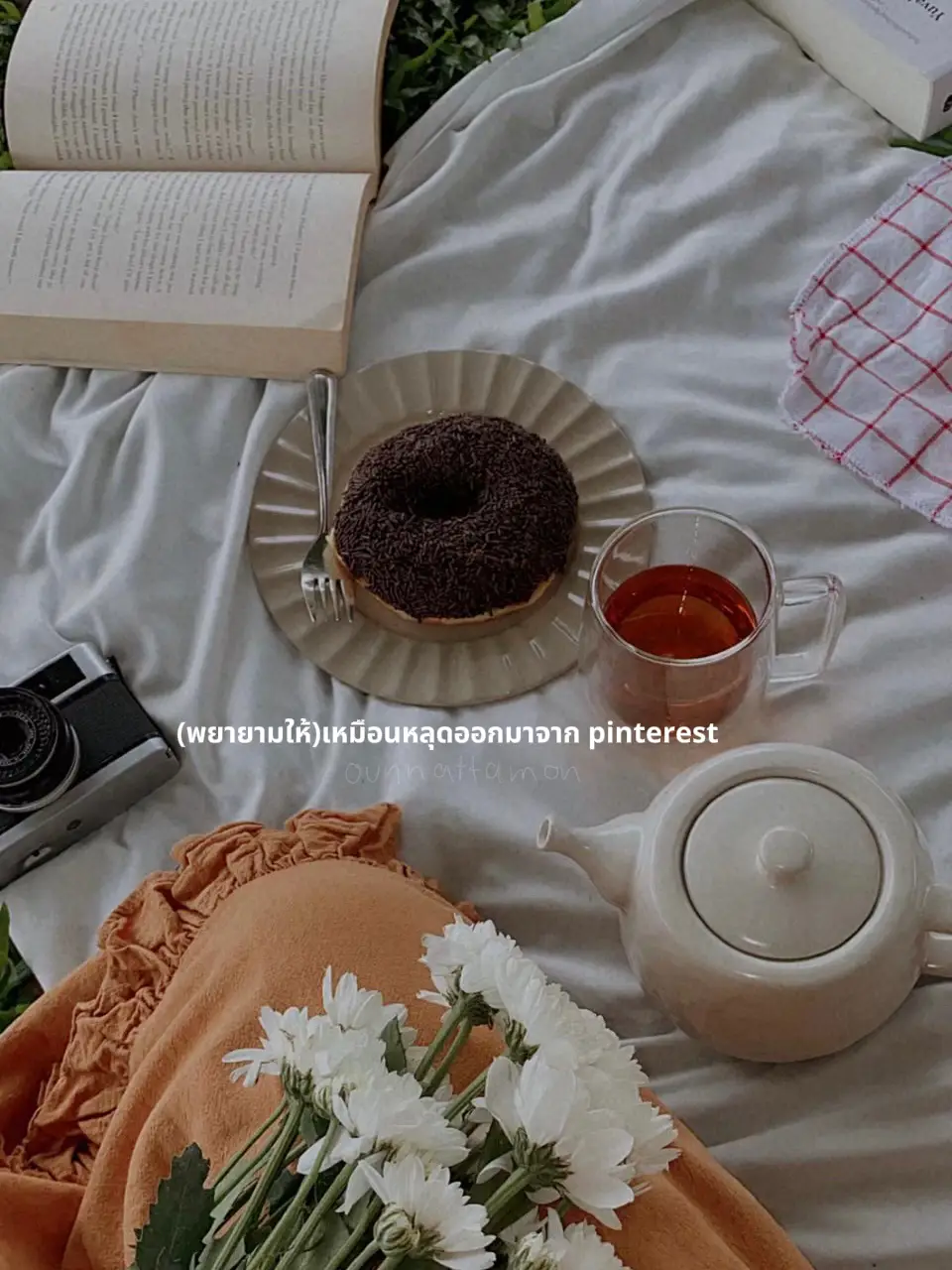 Picnic ในสวน ฟีลหลุดมาจาก pinterest 🌳🧺 | แกลเลอรีที่โพสต์โดย OUN | Lemon8