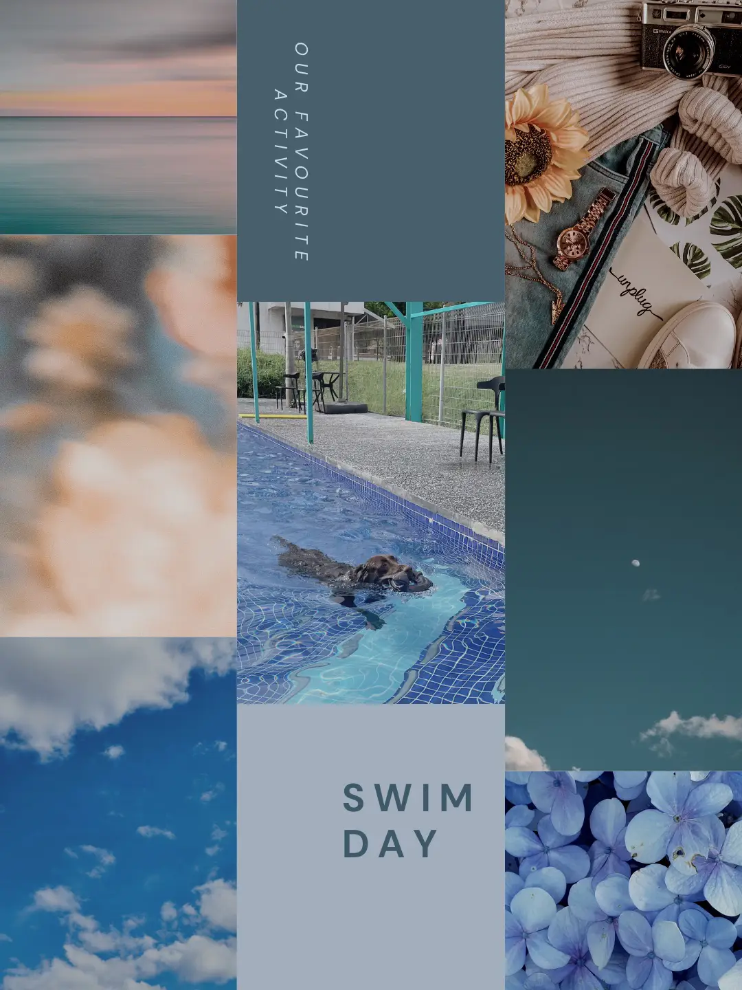 doggy pool | mutts & mittens 🌊 | Gallery posted by shirlyn | Lemon8