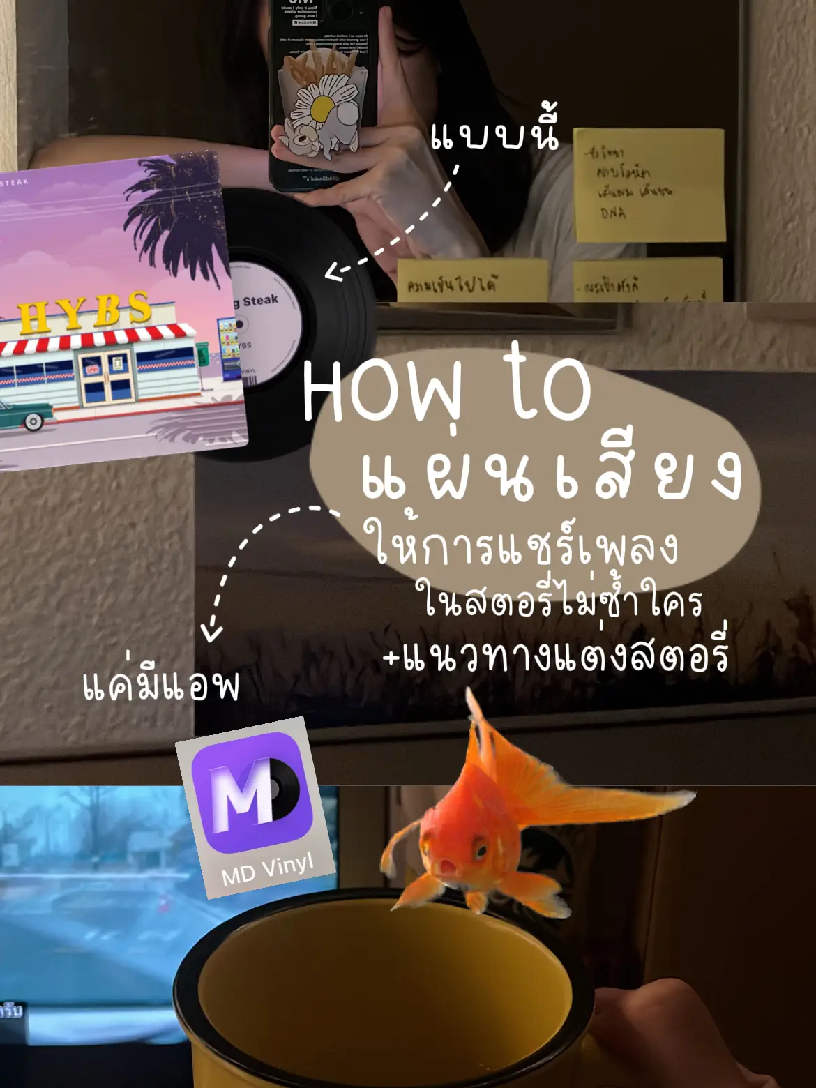 Soso Note ติดเทรนด์ - การค้นหาใน Lemon8