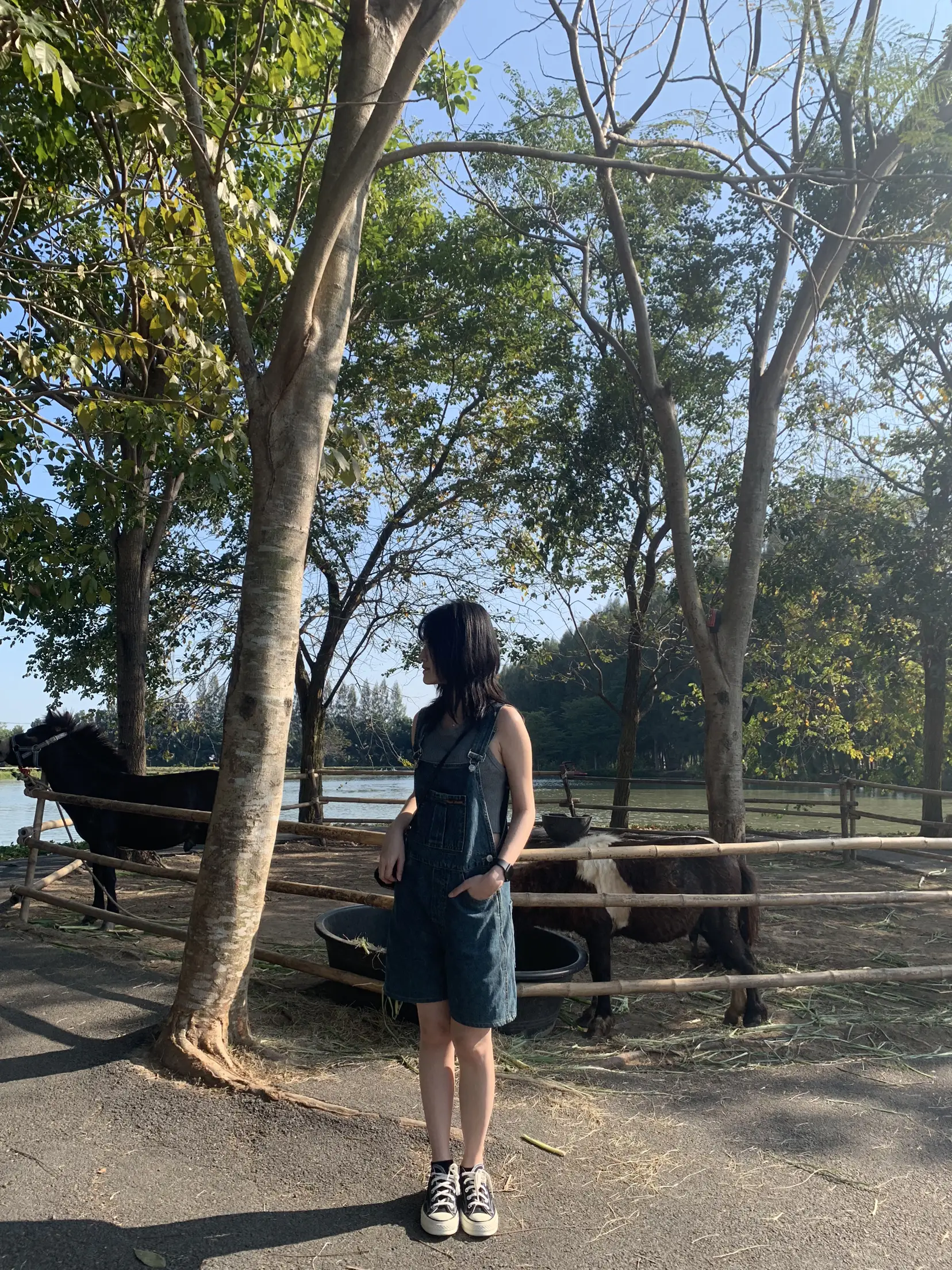 Dubua Cafe to Spin Duck Du Bua at Nakhon Pathom 🐥 | Gallery posted by ...