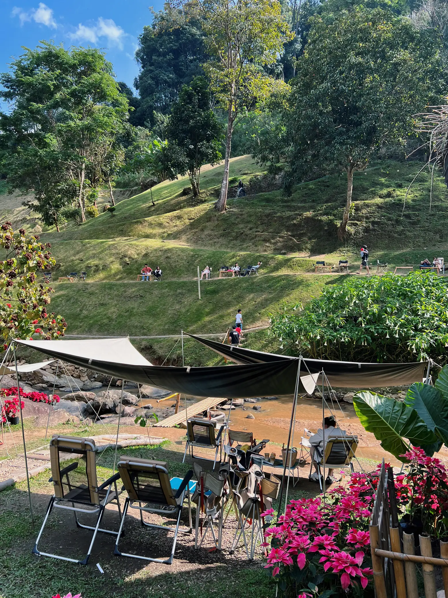 เช็คอินคาเฟ่ WTF Coffee Camp นั่งชิลๆ ริมน้ำตก @ เชียงใหม่⛺️ | แกลเลอรี ...