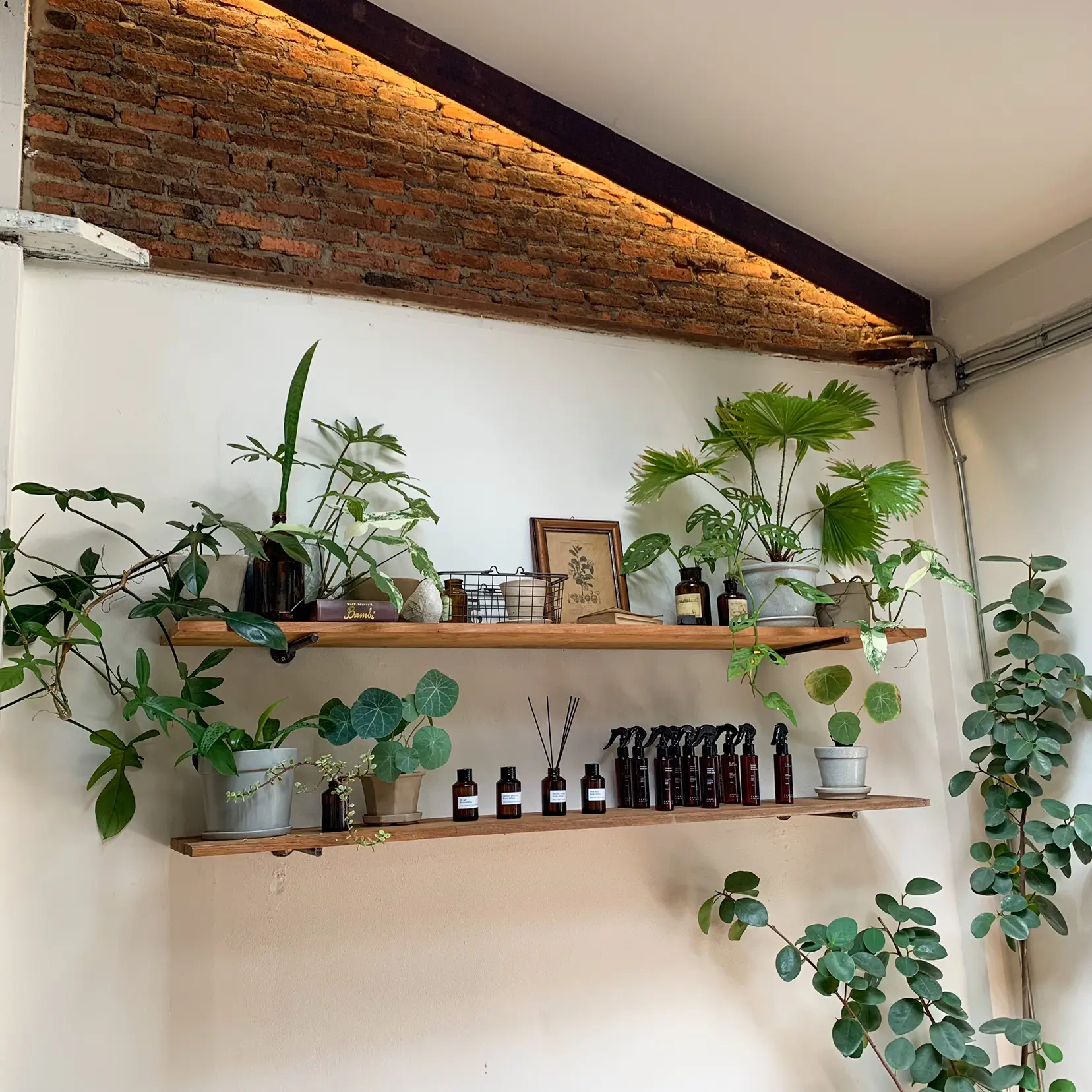 คาเฟ่ลับๆ สไตล์โฮมมี่ ย่านลาดพร้าว!🌟📍 | แกลเลอรีที่โพสต์โดย tinyy☃️ | Lemon8