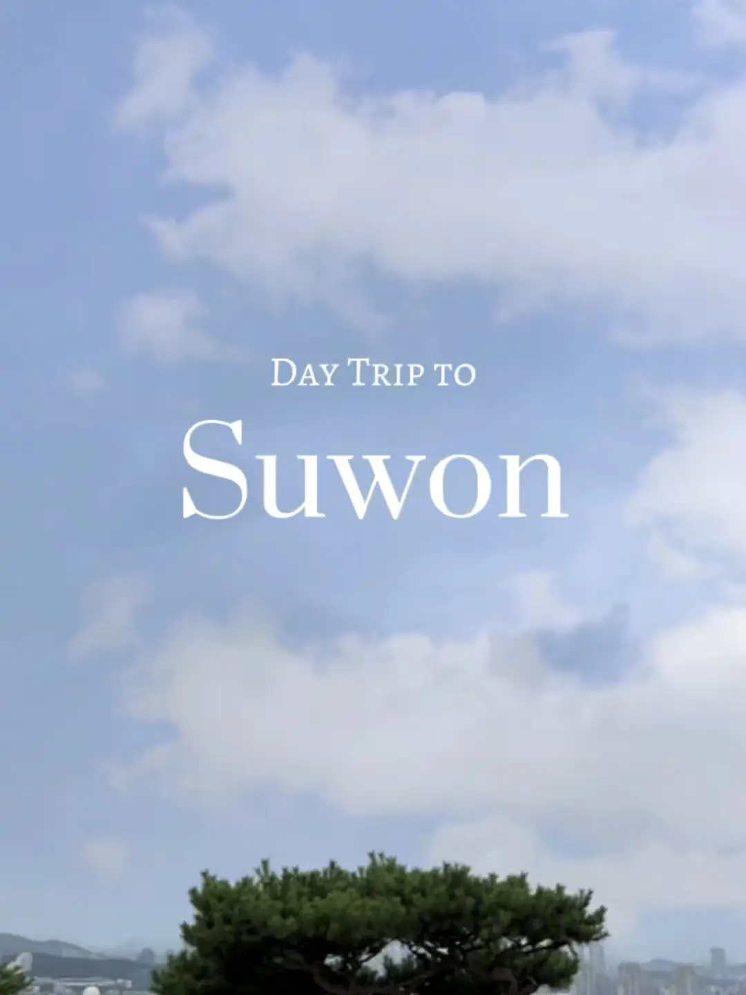 A Day Trip to Suwon, from Seoul! 🚂🏰 | Video published by Nugget | Lemon8