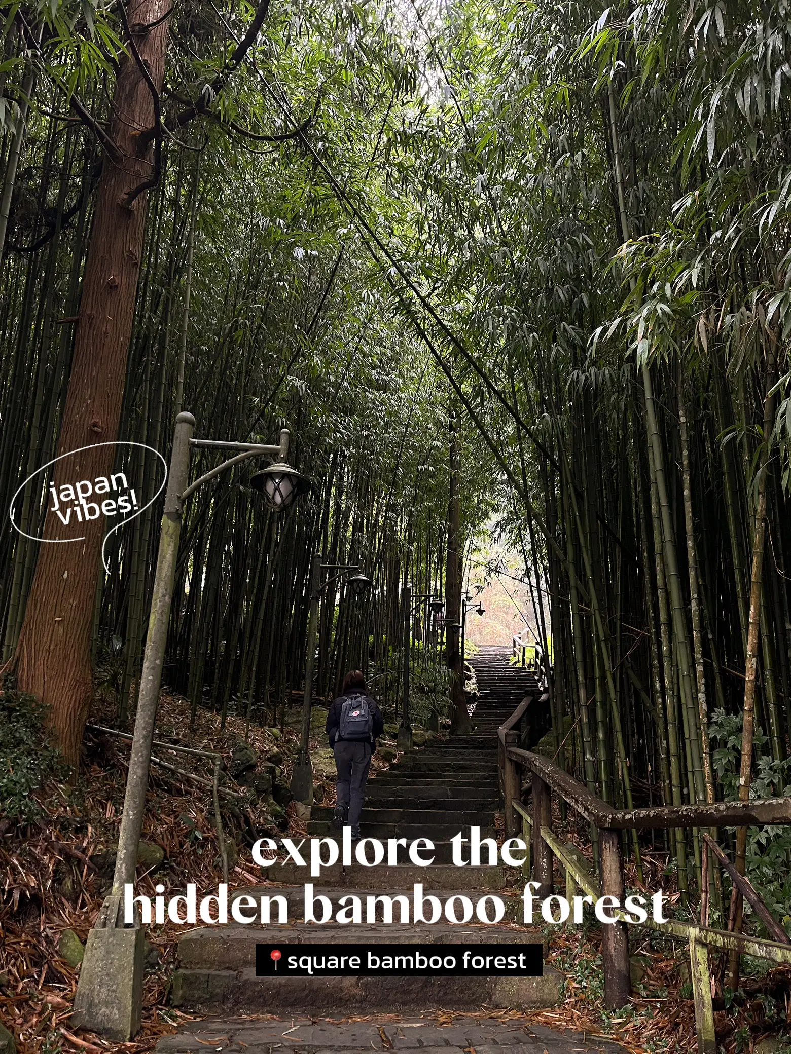 fenqihu - taiwan’s HIDDEN GEM 💎 jiufen w/o crowds | Gallery posted by ...