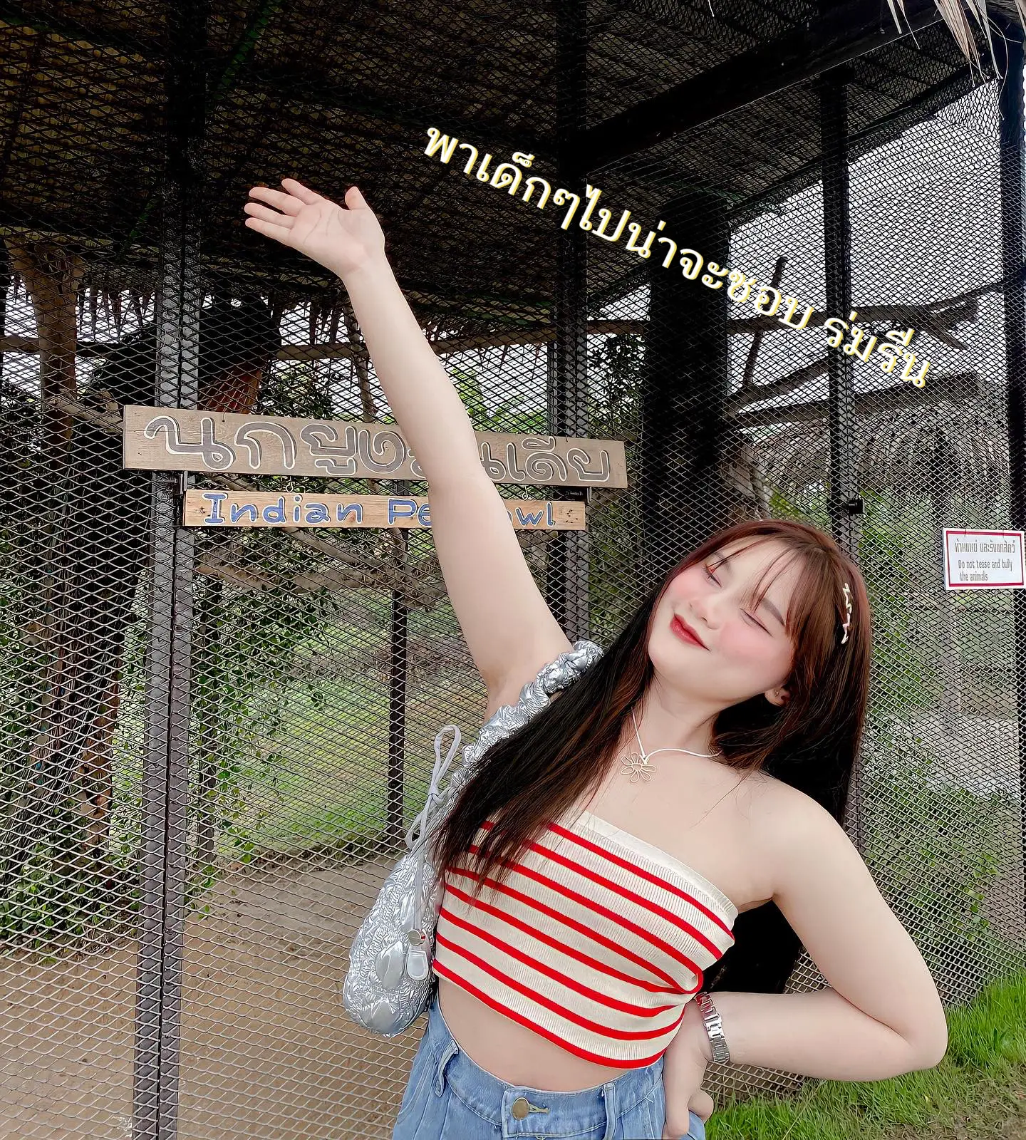 🦓🦍Mini zoo ธัญบุรี คลอง6 จ.ปทุมธานี🦓🦍 | แกลเลอรีที่โพสต์โดย Pimlapadss | Lemon8