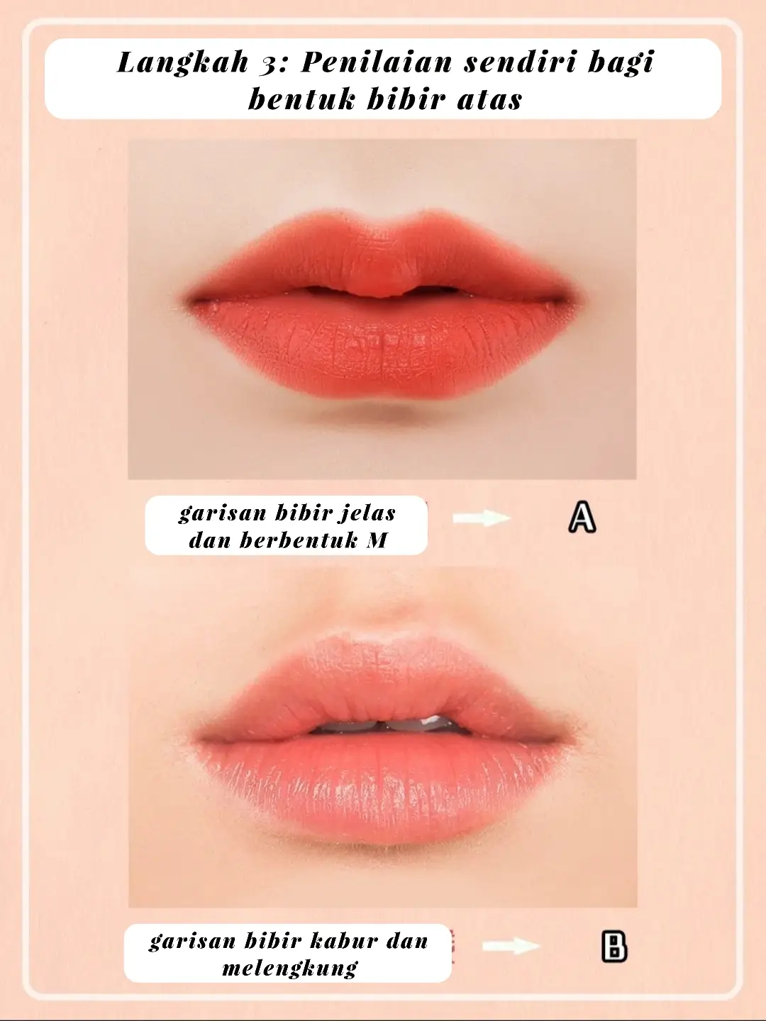 20 ide jenis jenis tipe bentuk muka teratas di 2024