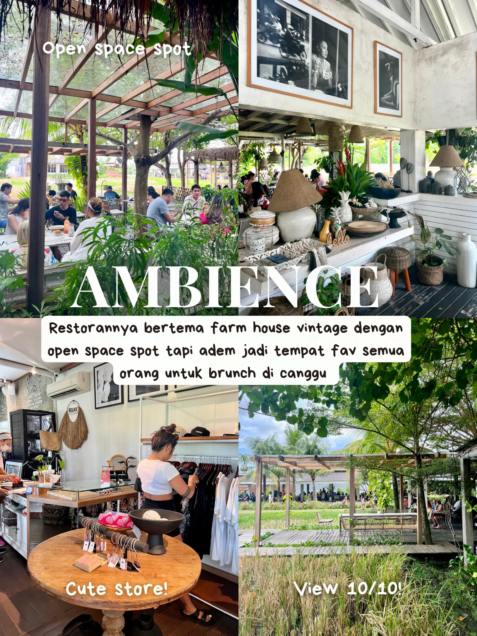Must visit brunch cafe : Nook Bali | Galeri diposting oleh ...
