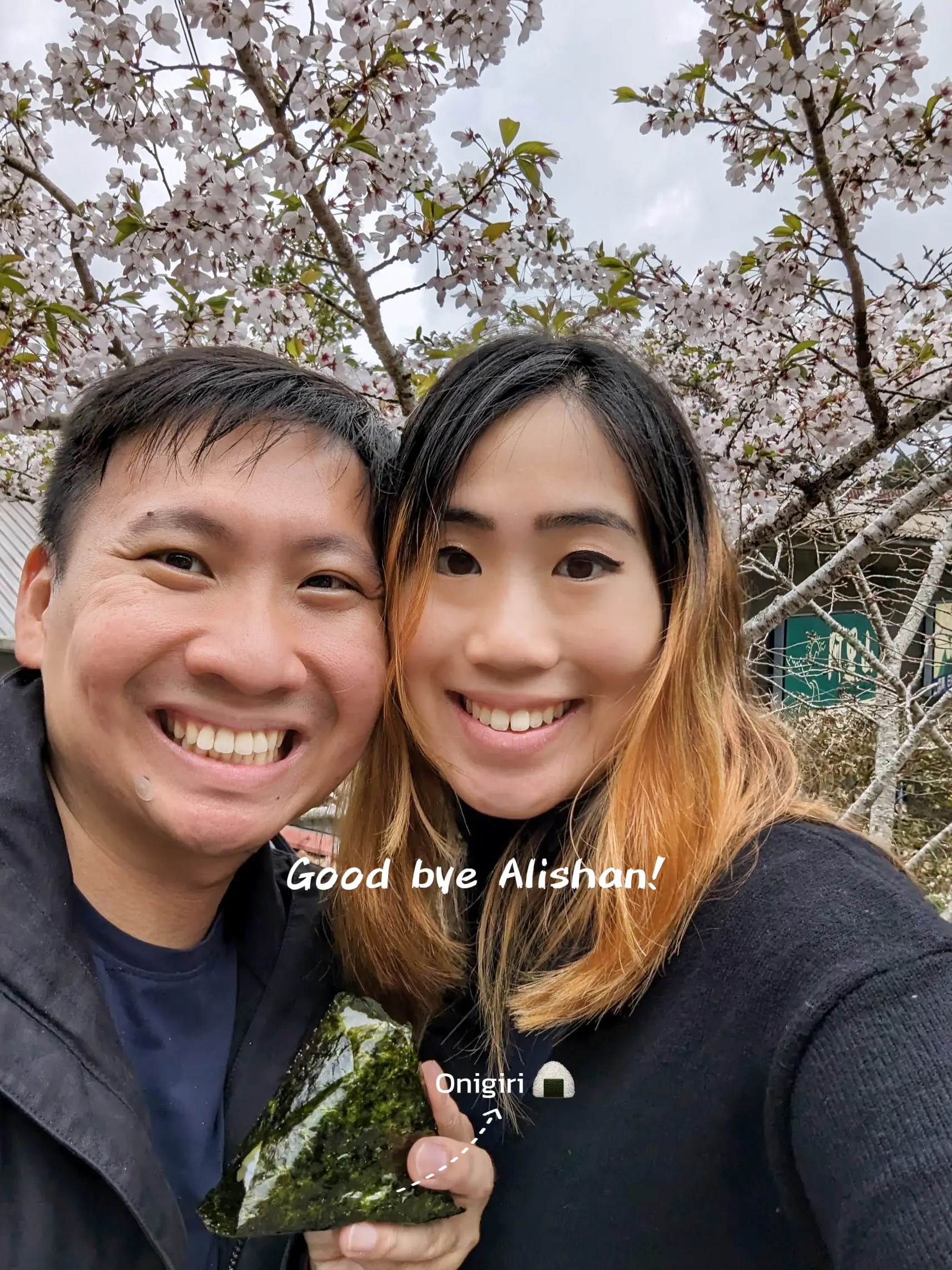 Alishan - a must go or overrated? | แกลเลอรีที่โพสต์โดย Jing Wei | Lemon8