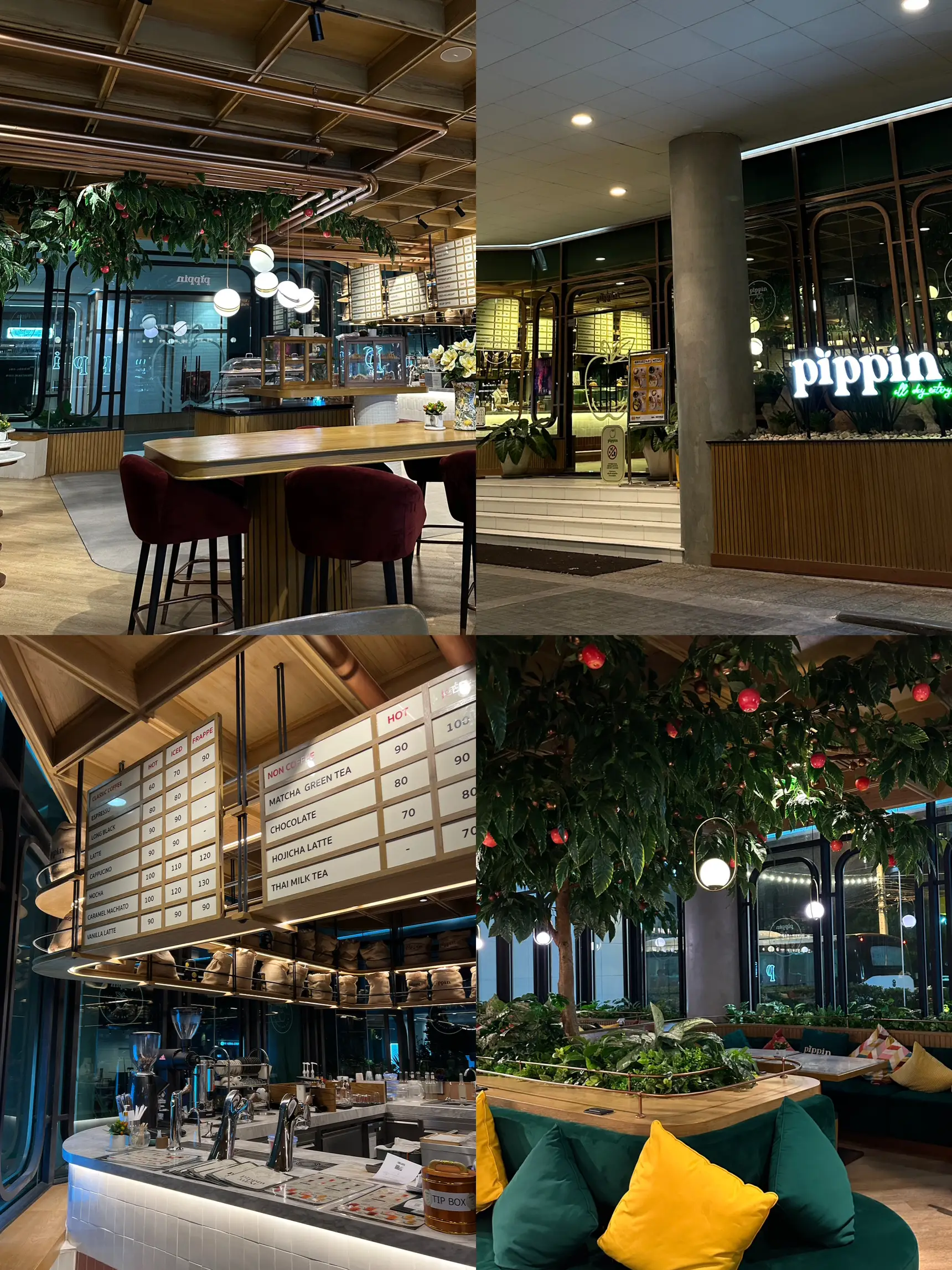 Pippin pattaya คาเฟ่เหมือนอยู่ในสวน🍎 | แกลเลอรีที่โพสต์โดย Pearryday | Lemon8