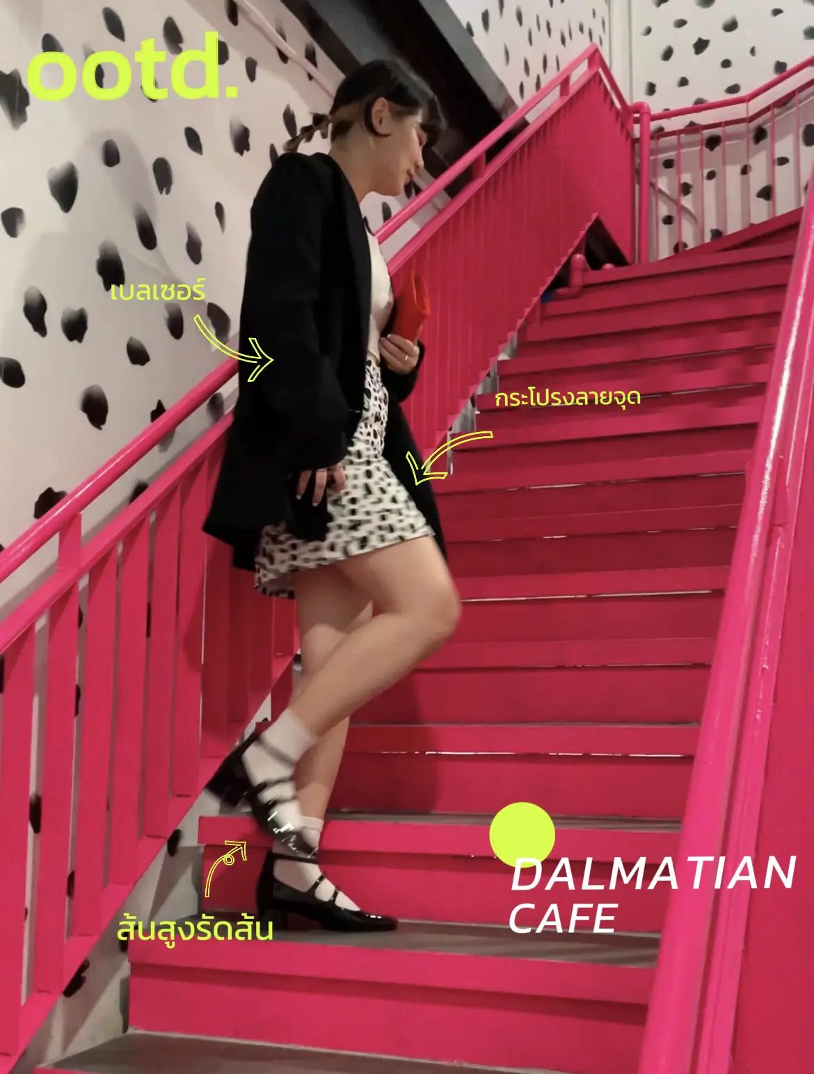 คาเฟ่น้องใหม่ลายจุด DOSAN DALMATIAN ใจกลางสยาม🐾 | แกลเลอรีที่โพสต์โดย nokku | Lemon8