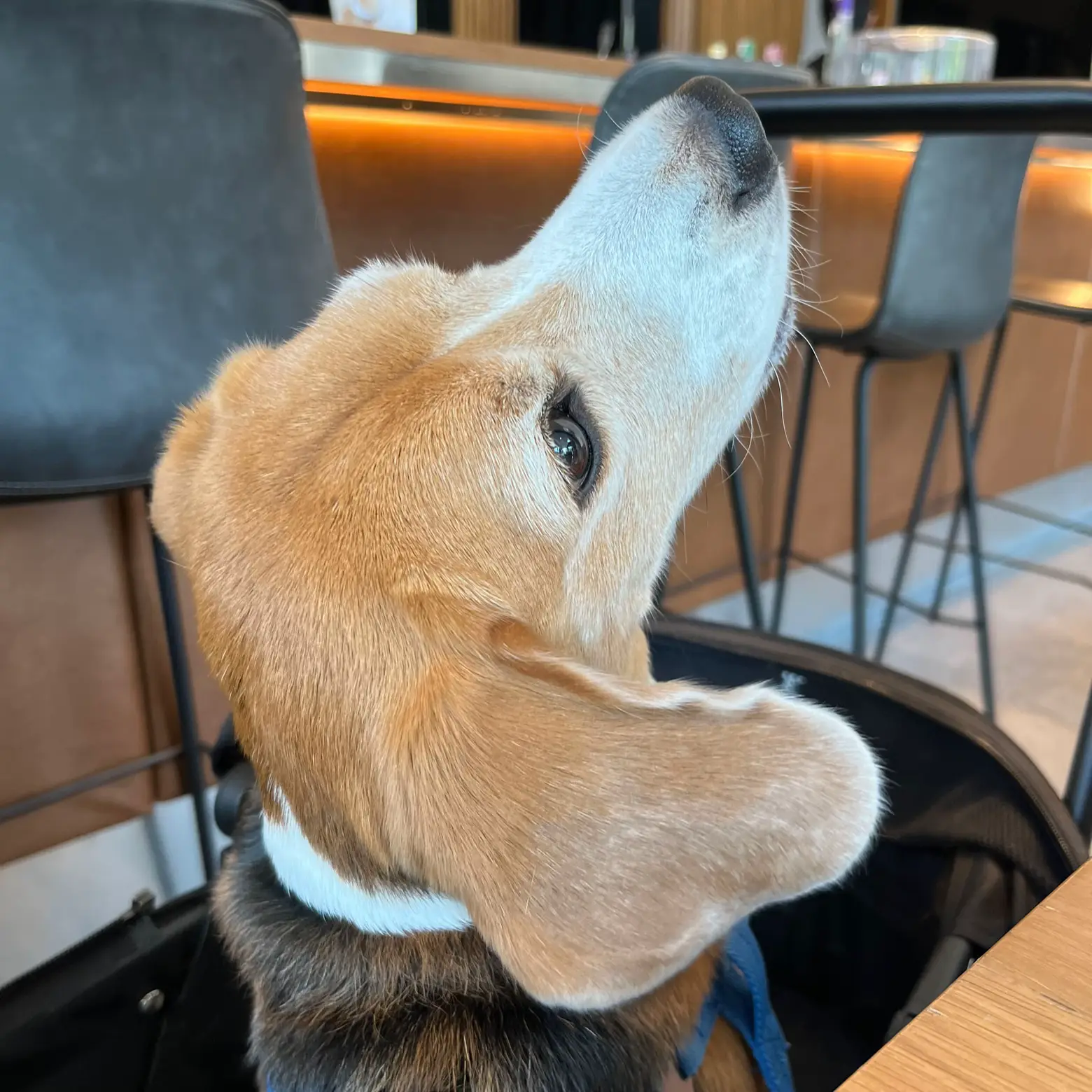 REVIEW 🍽 TIPSY TUESDAY | แกลเลอรีที่โพสต์โดย dear chatnapa | Lemon8