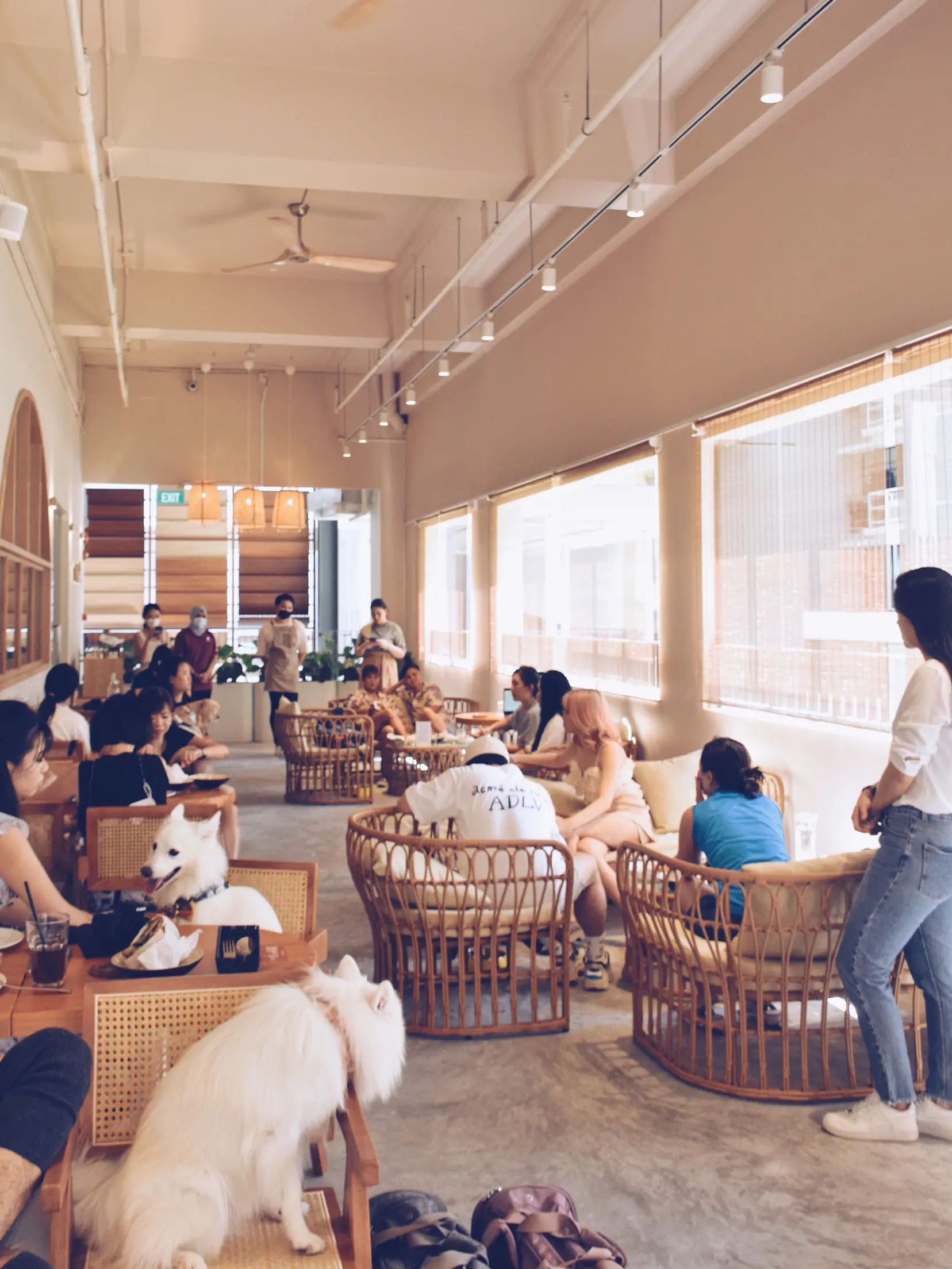 Work-friendly cafe: wifi, power sockets, seats! | Gallery posted by ...