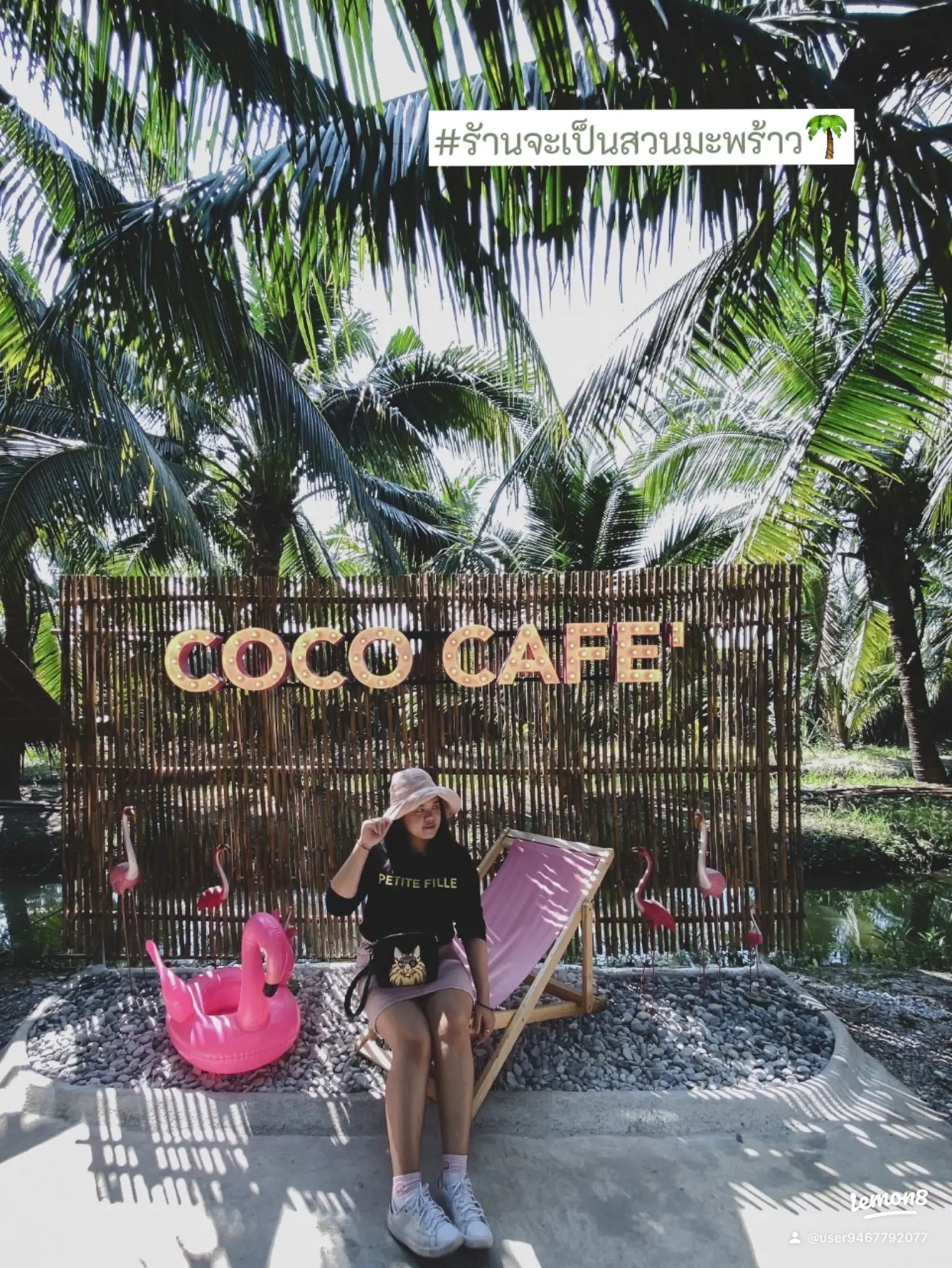 คาเฟ่ธรรมชาติท่ามกลางสวนมะพร้าว จังหวัดสมุทรสาคร | แกลเลอรีที่โพสต์โดย Chayanee Tass | Lemon8