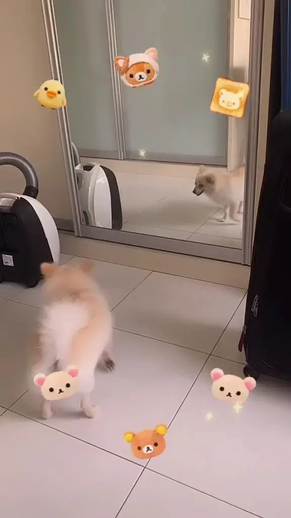 Too scary, bye bye 🤣 | Video published by Lemon88888888 | Lemon8