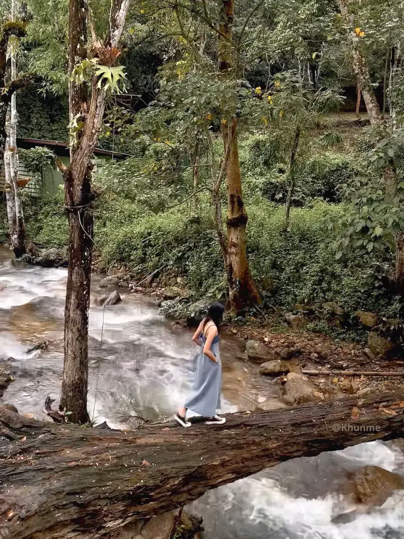 คาเฟ่ TARYN TARA CAFE AND STAY. @แม่กำปอง | แกลเลอรีที่โพสต์โดย Meiyyy ...