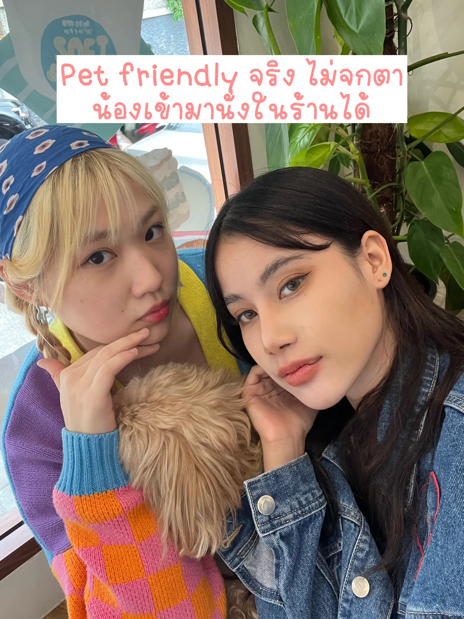 คาเฟ่ Pet-friendly จริง แบบไม่จกตา🐶💗 | แกลเลอรีที่โพสต์โดย yongntp🍠 | Lemon8