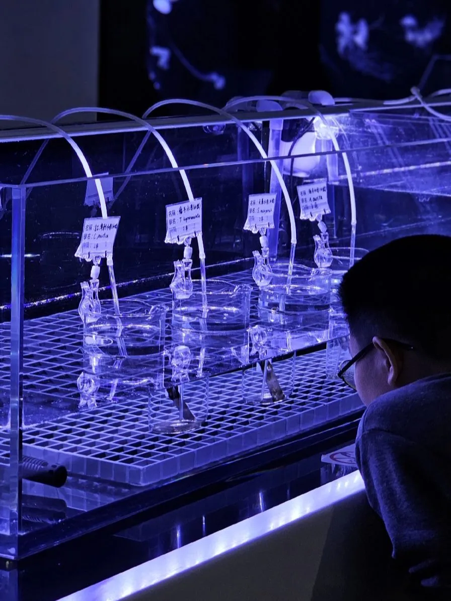 Xpark Aquarium | พิพิธภัณธ์สัตว์น้ำไต้หวัน 🇹🇼🪼🩵🐟 | แกลเลอรีที่โพสต์โดย ...