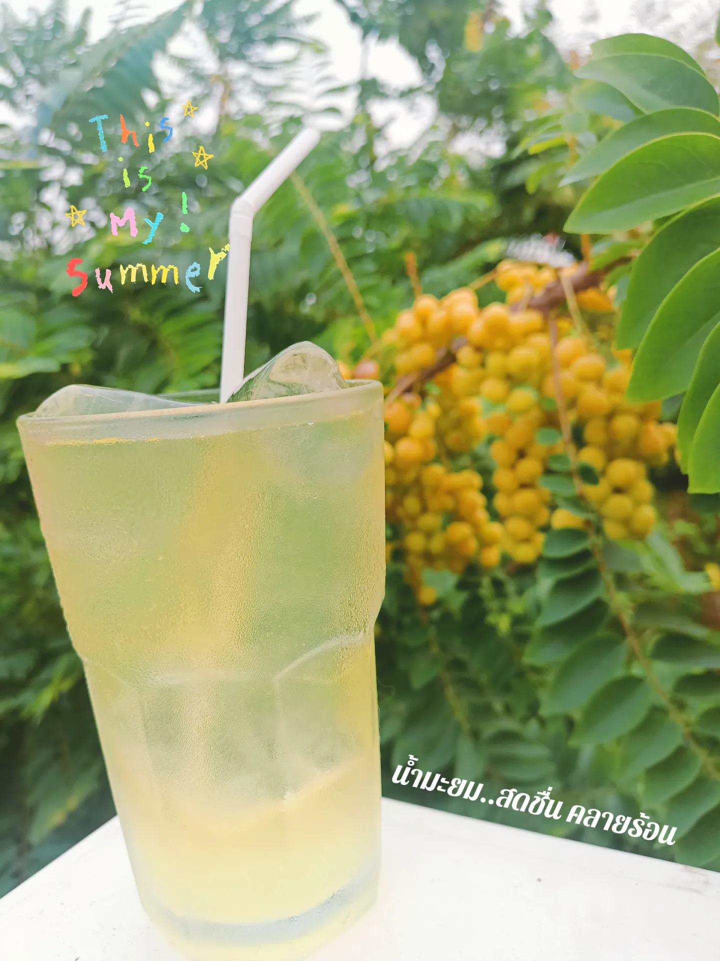 น้ำมะยม | แกลเลอรีที่โพสต์โดย Alisa Cnk | Lemon8