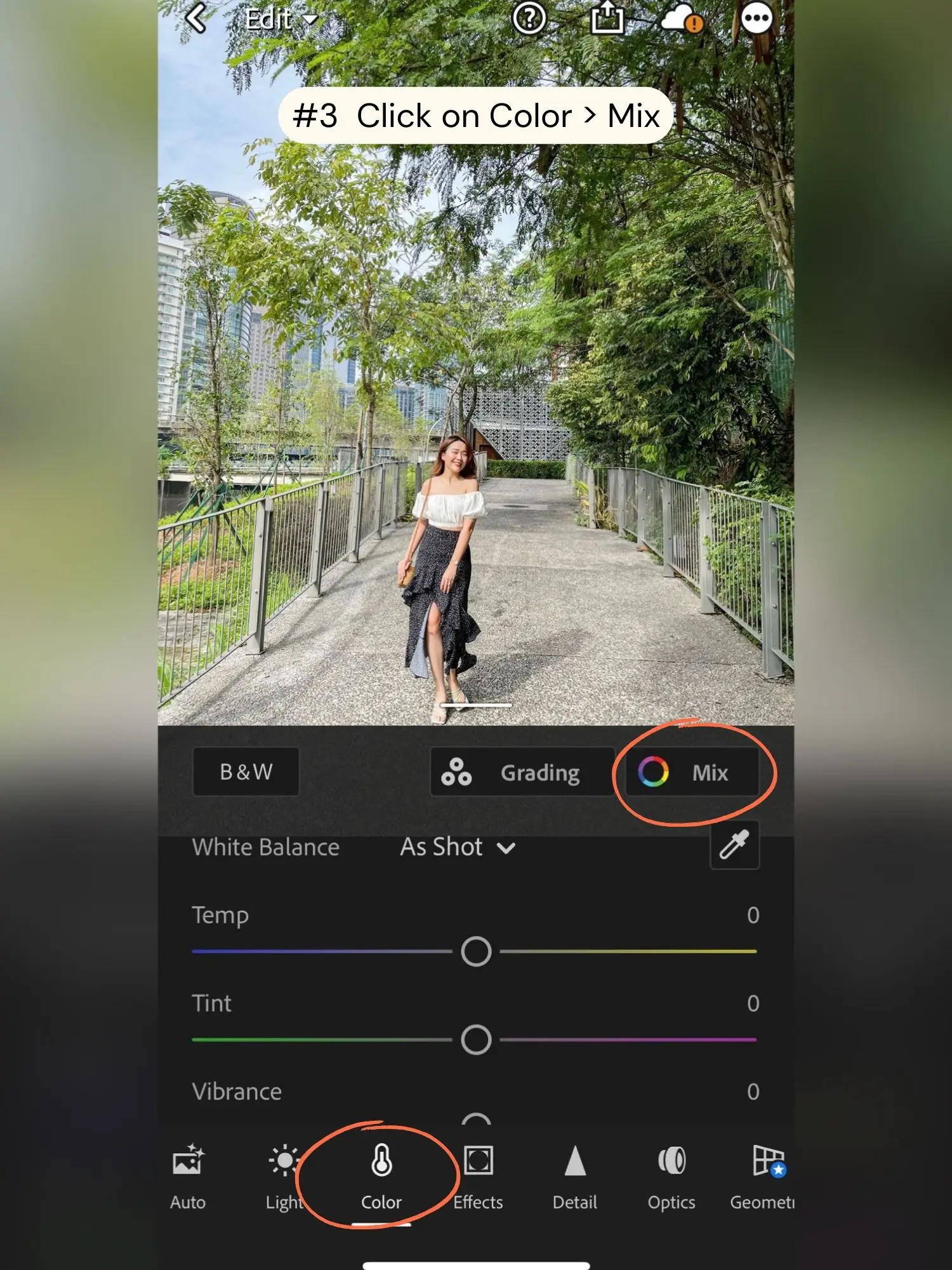 Adjust Photo Edit View - Carian Lemon8