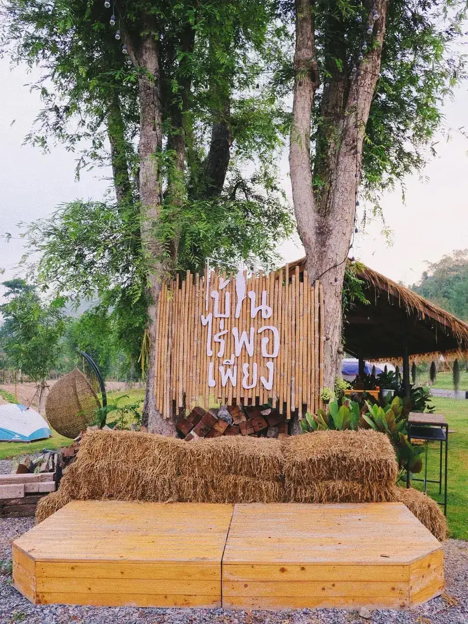 ที่เที่ยวแบบเศษรฐกิจพอเพียง - การค้นหาใน Lemon8