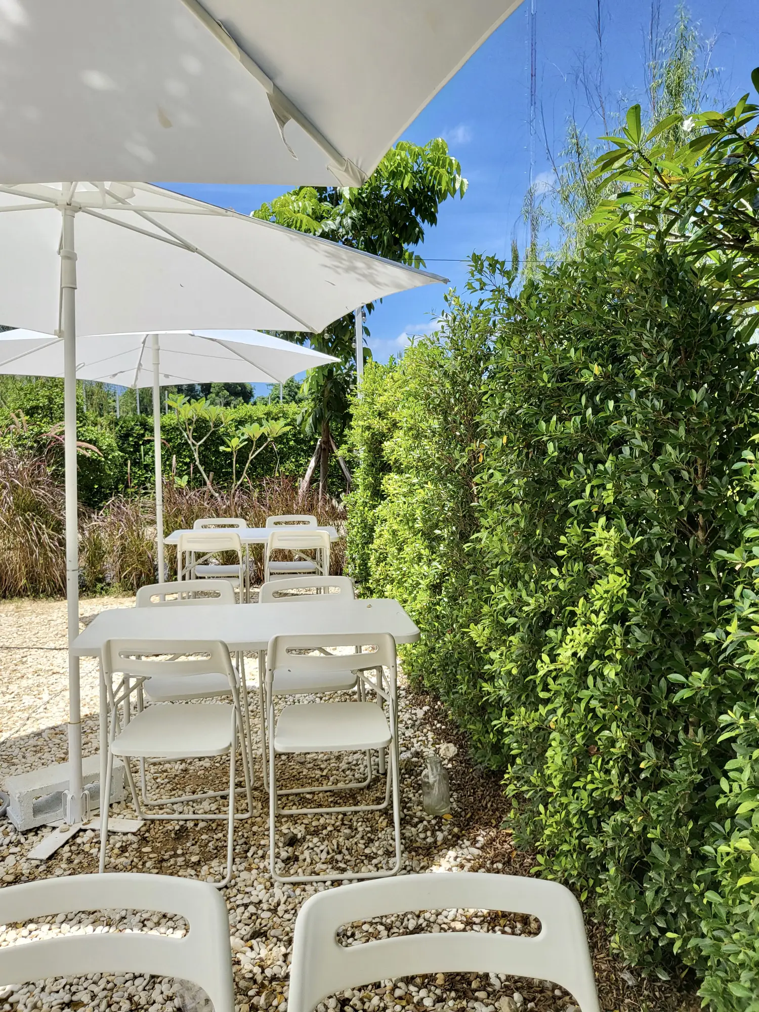 Cafe cado - การค้นหาใน Lemon8