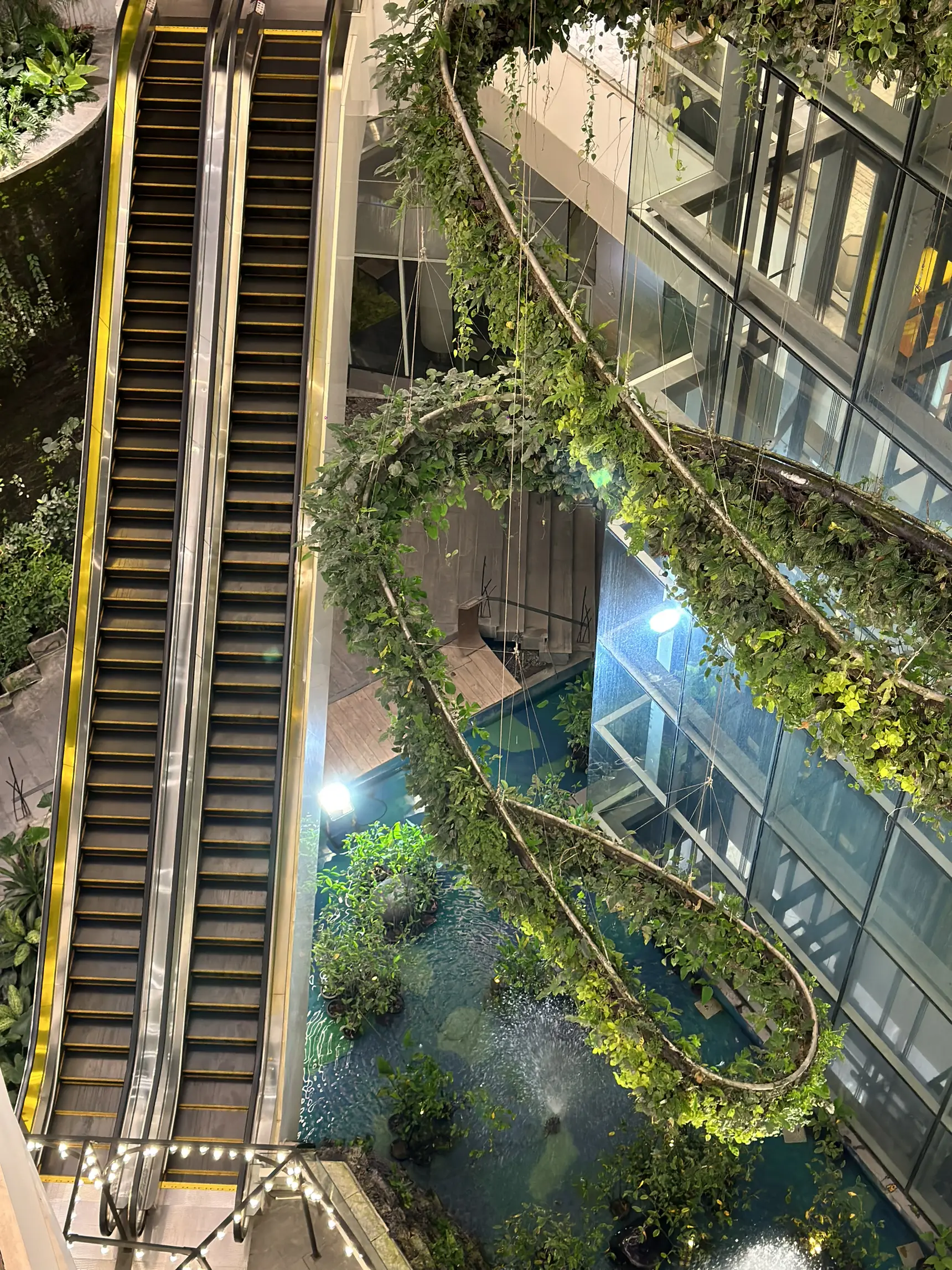 📸 EmQuartier บรรยากาศสวนลอยฟ้ากลางกรุงชั้น 6-9 | แกลเลอรีที่โพสต์โดย ...