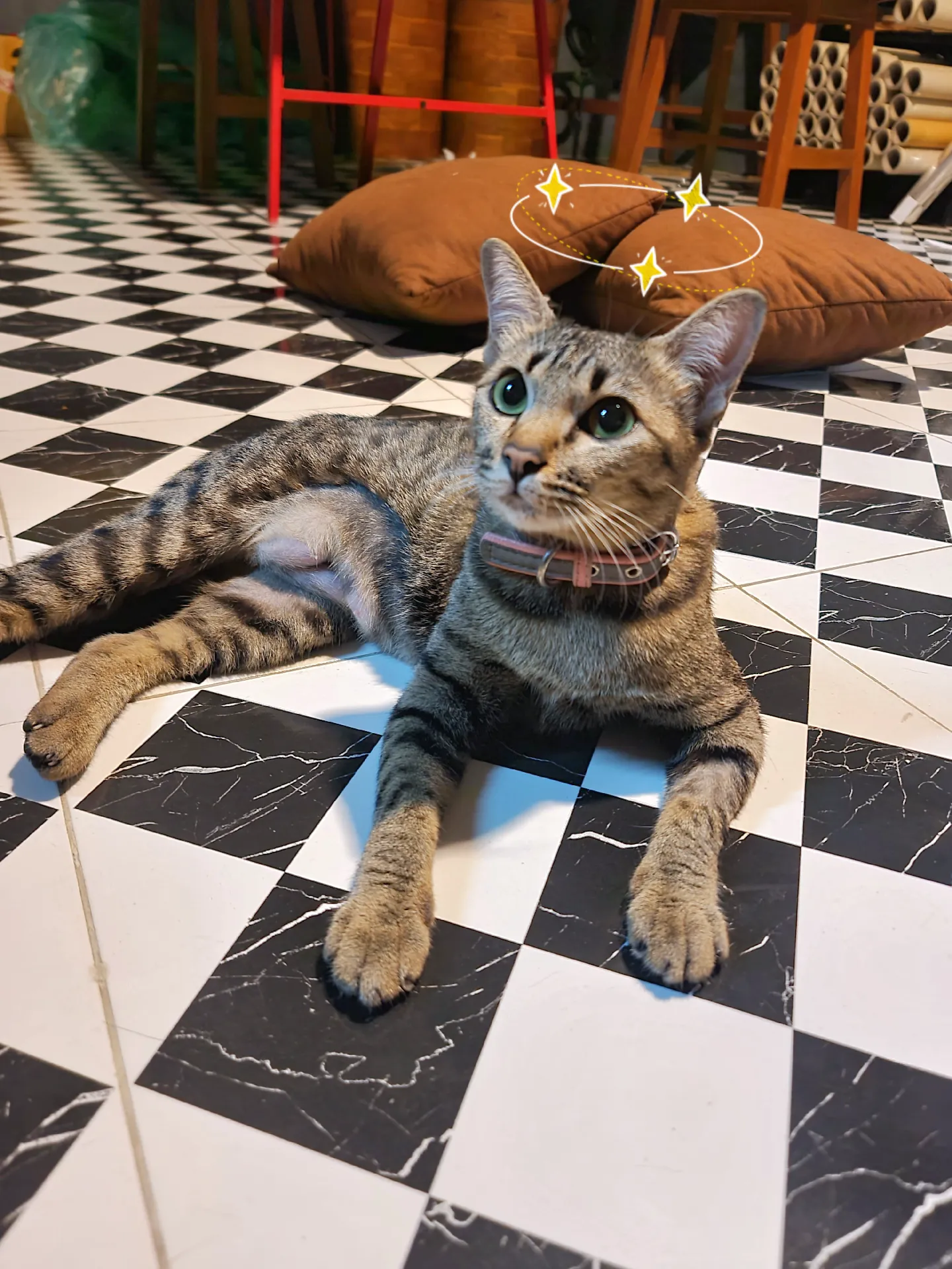 Tiny Liu | Gallery posted by 🐈‍⬛ Meow🐈‍⬛ | Lemon8