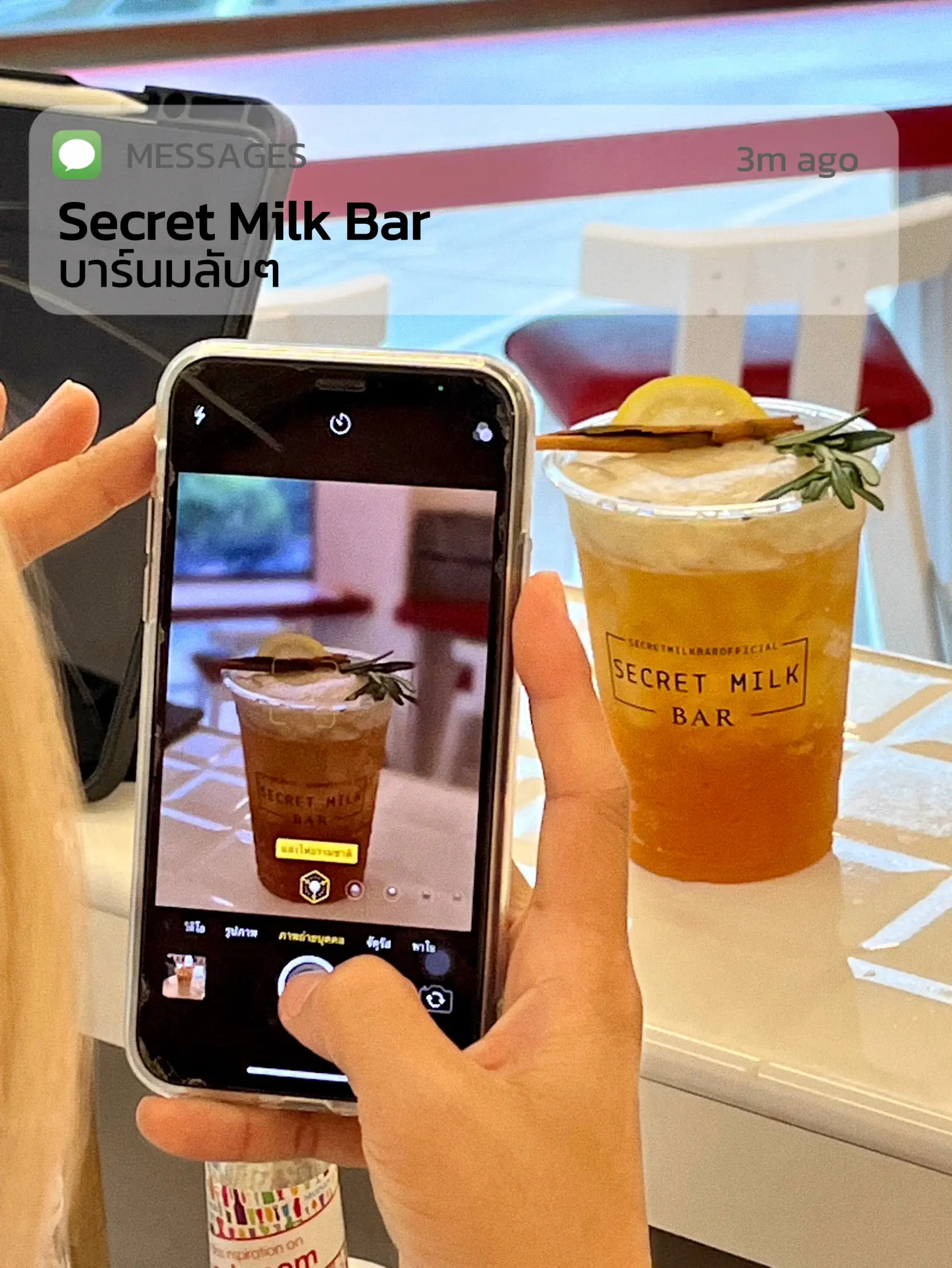 Secret Milk Bar บาร์นมลับๆ แห่งใหม่ในเชียงราย | แกลเลอรีที่โพสต์โดย ...