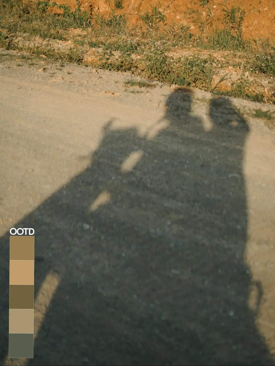 Rode Trip @วังน้ำเขียว | แกลเลอรีที่โพสต์โดย Pxm_zz | Lemon8