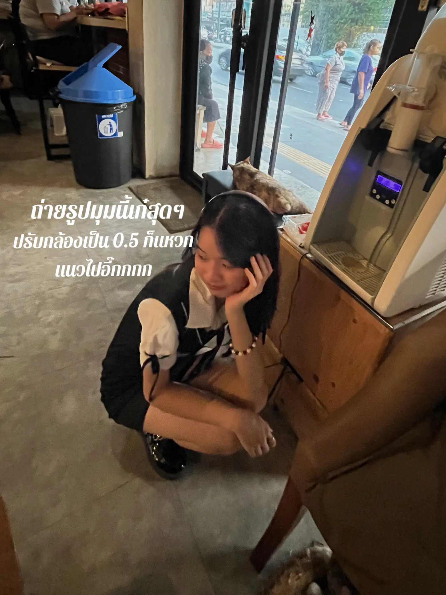 รีวิวคาเฟ่แมว cazz cafe & hostel ย่านพระโขนง | แกลเลอรีที่โพสต์โดย lilyasp.p | Lemon8