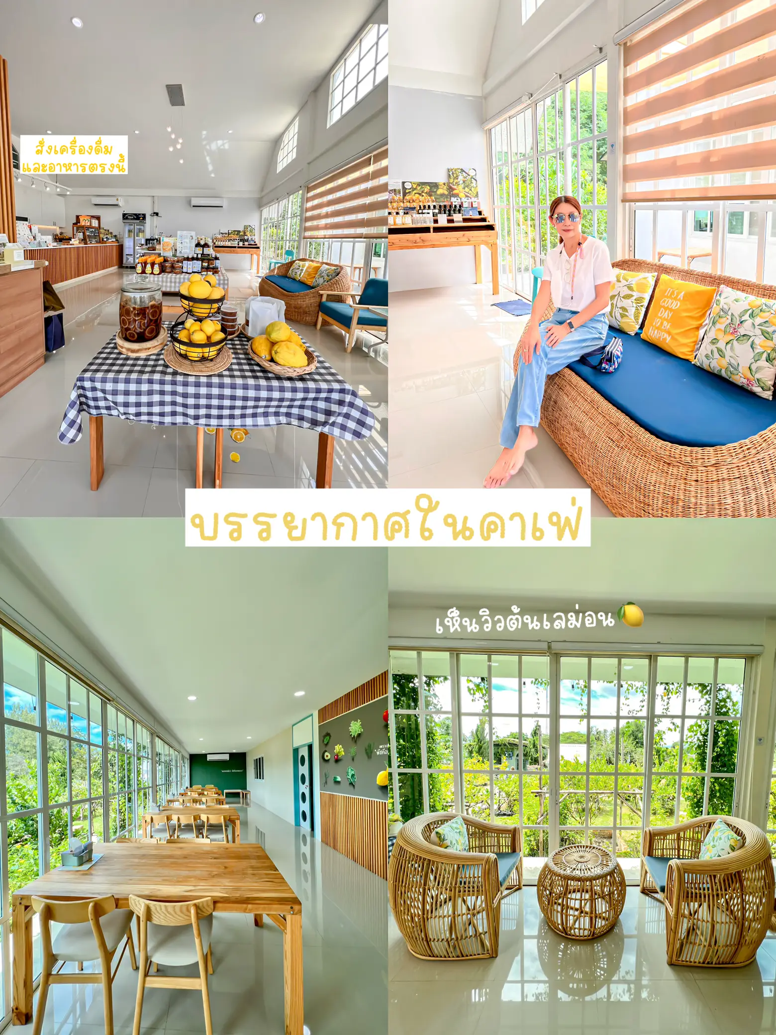 #พาแม่ไป 𝐏𝐚𝐬𝐮𝐭𝐚𝐫𝐚 ฟาร์มเลมอนออร์แกนิคใกล้กรุงเทพ🍋 | แกลเลอรีที่โพสต์โดย ...