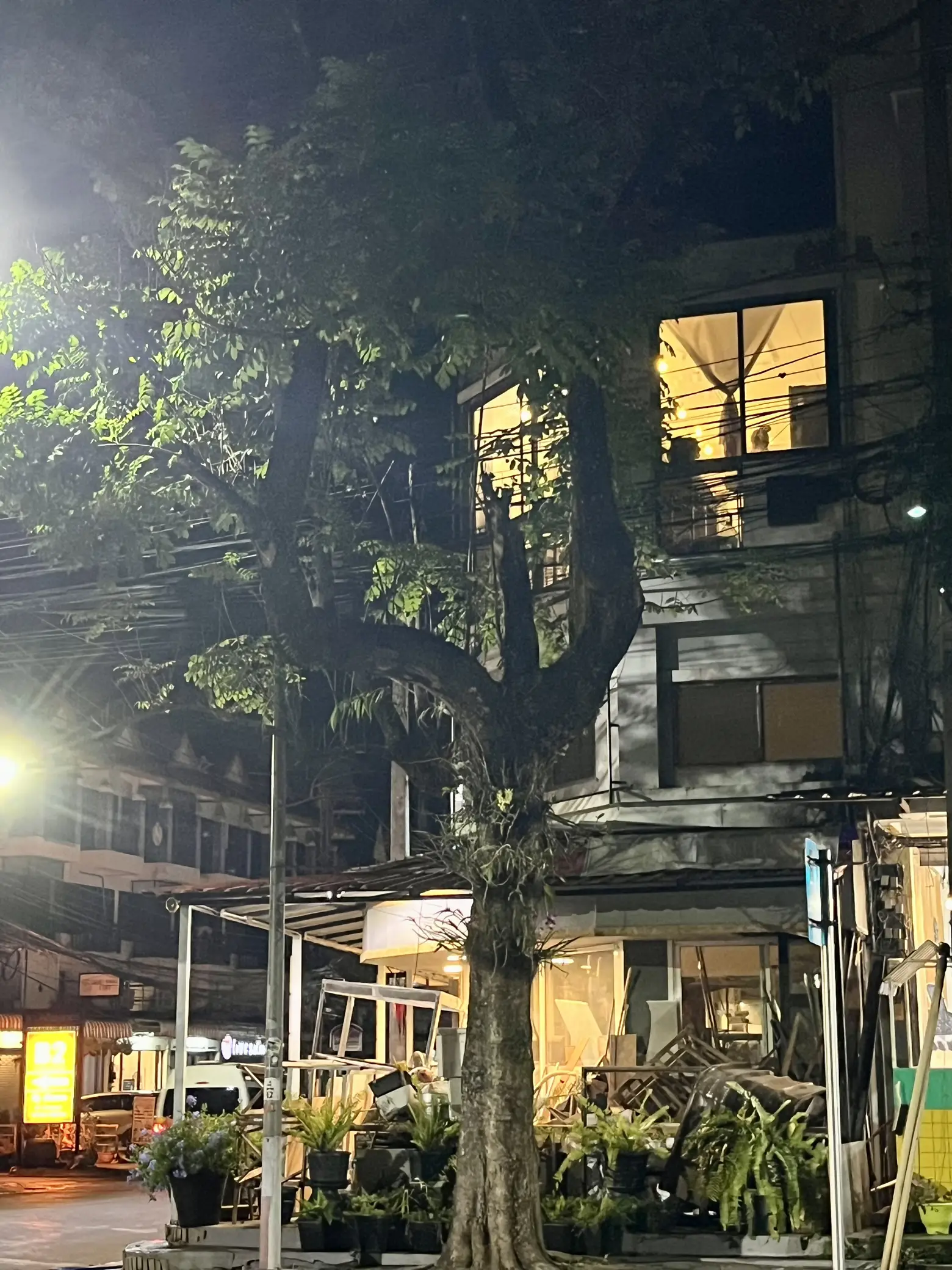 Secret Milk Bar บาร์นมลับๆ แห่งใหม่ในเชียงราย | แกลเลอรีที่โพสต์โดย ...