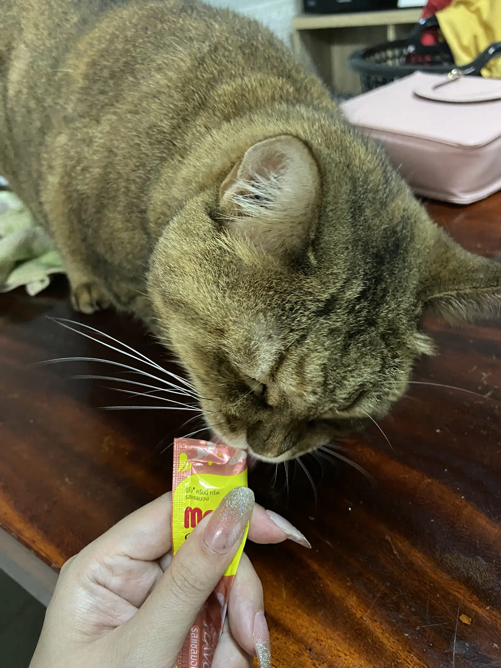 ขนมแมวเลียliebao - การค้นหาใน Lemon8